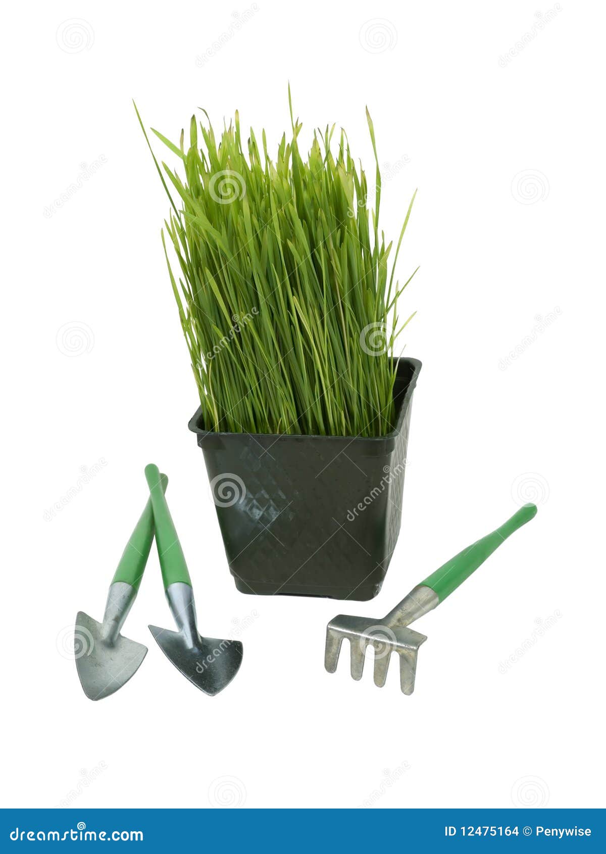 Tending a personal garden stock photo. Image of trowel - 12475164