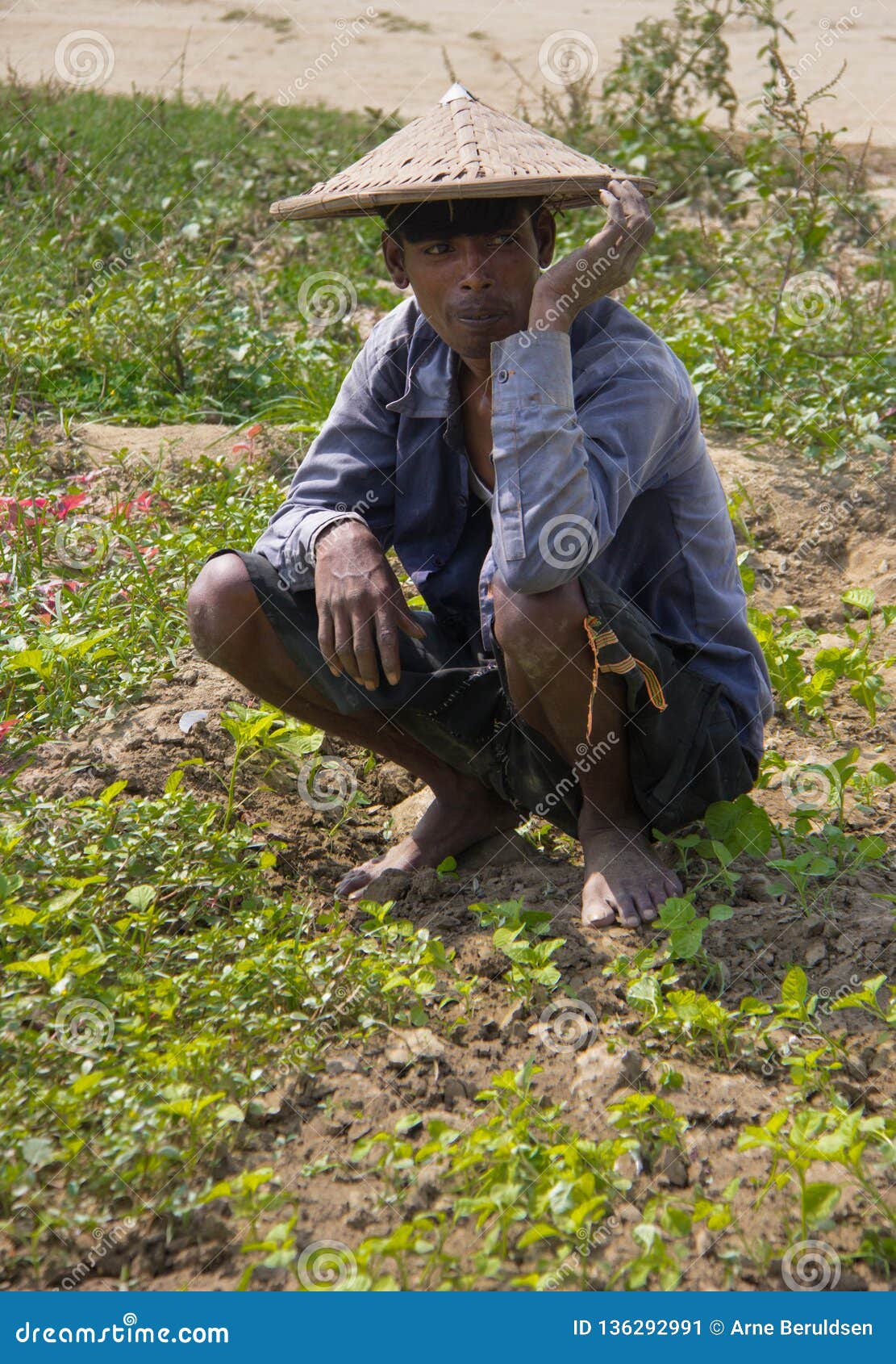 Tending to His Fields editorial photo. Image of farmer - 136292991