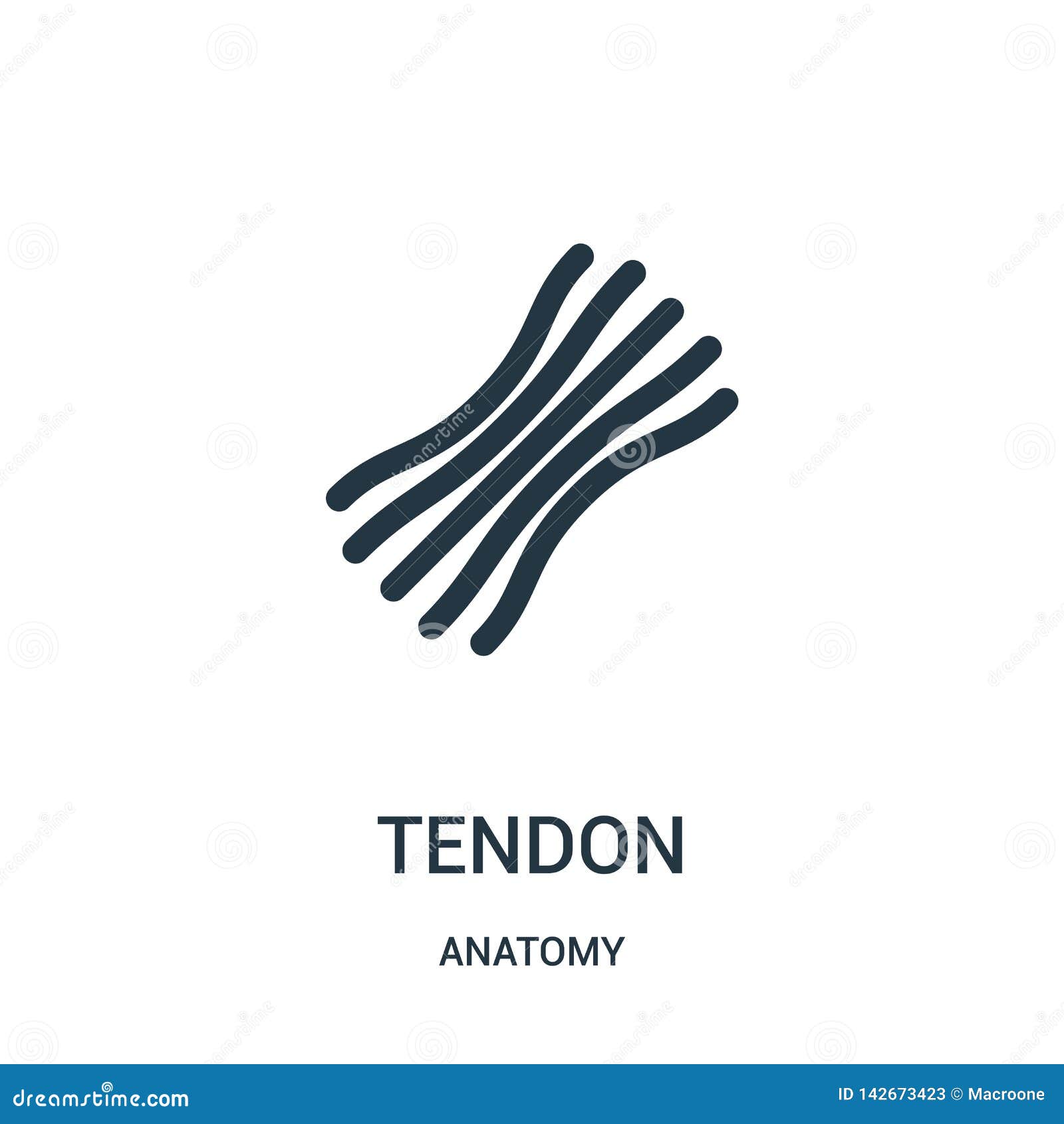 Tendon Icon Vector from Anatomy Collection. Thin Line Tendon Outline ...