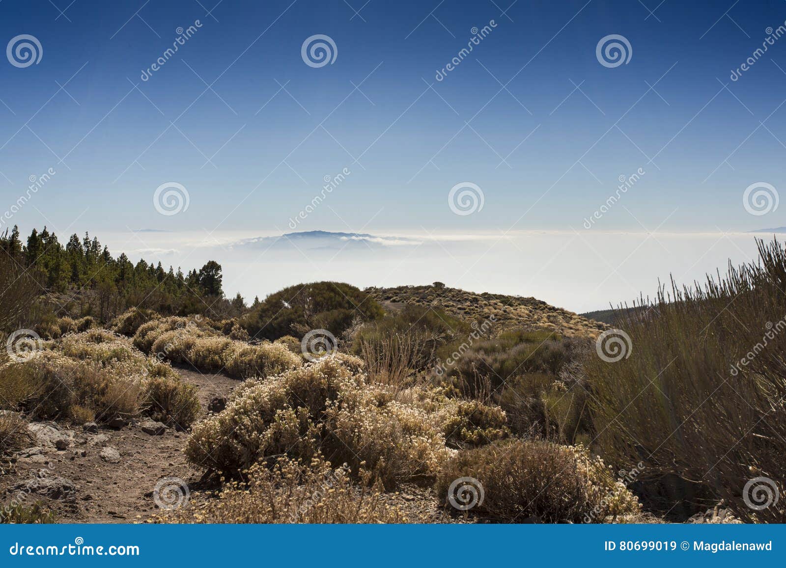 Tenerife landscape stock image. Image of gigantes, national - 80699019