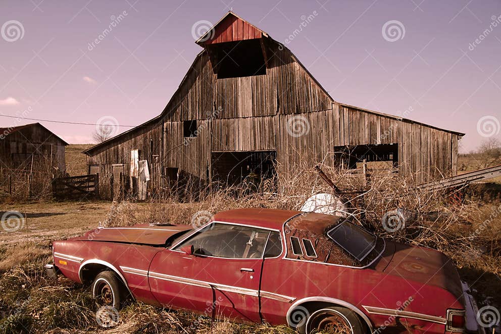 Tennessee Farm Scenes stock image. Image of harvest, plant - 3952959