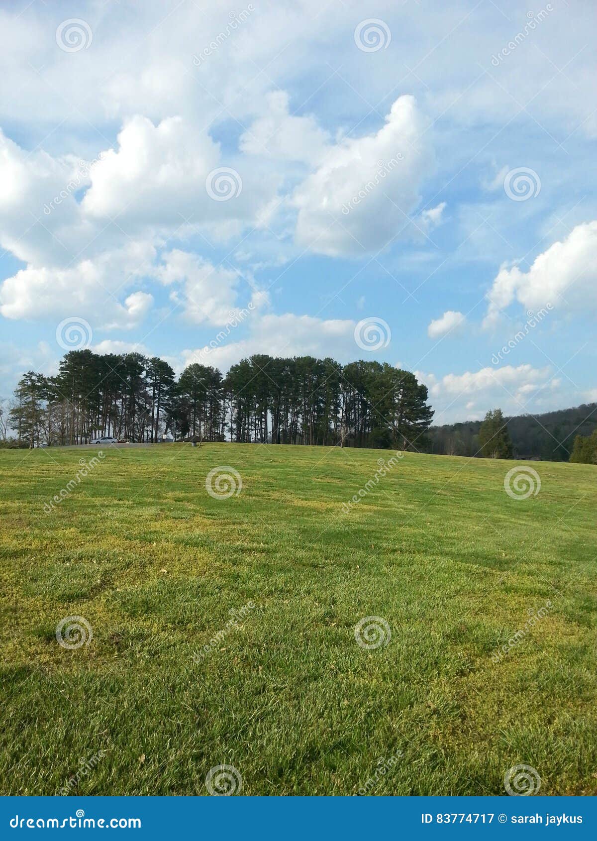 Tennessee Field imagen de archivo. Imagen de campo, cubo - 83774717