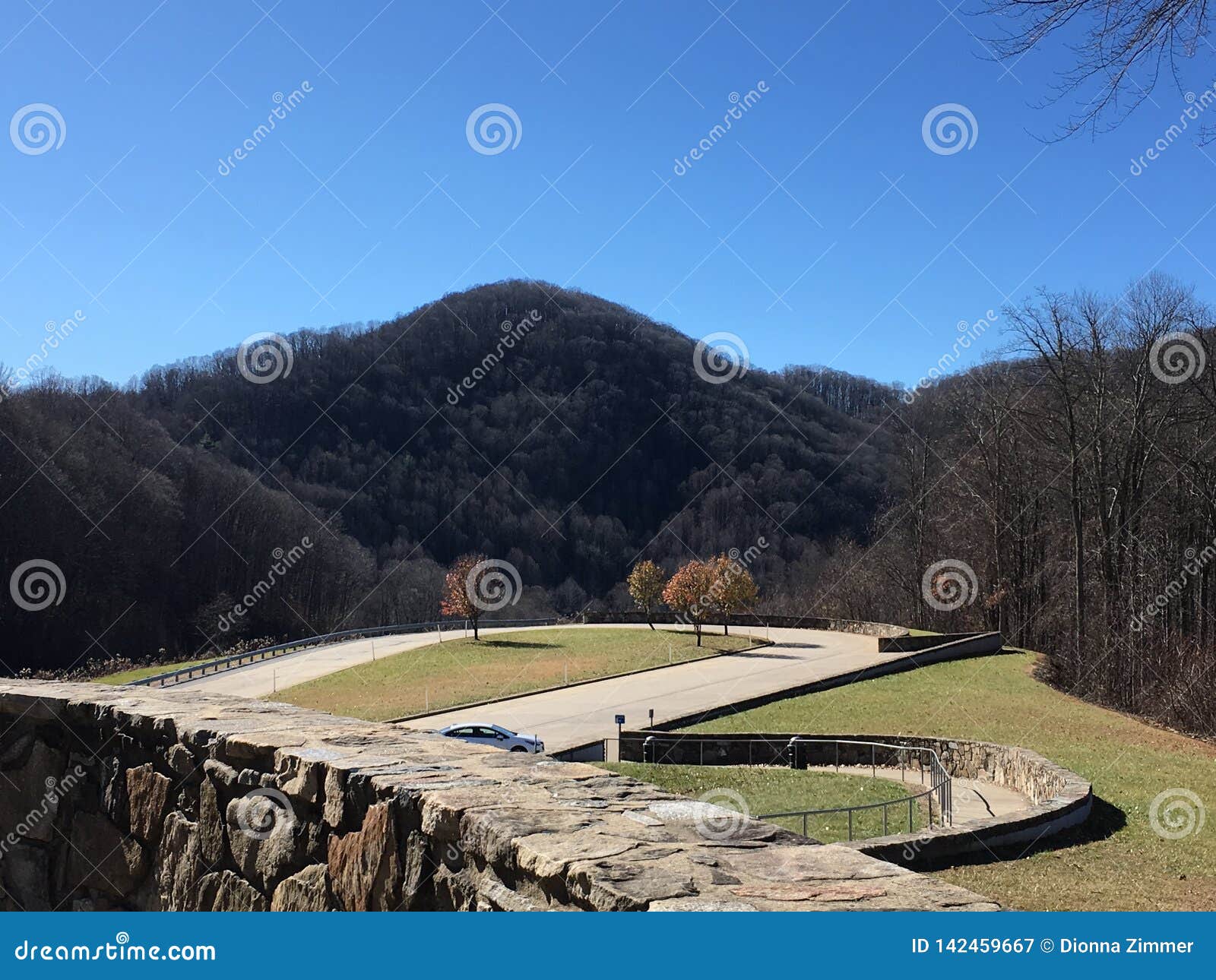 Tennessee Flag Pond editorial photography. Image of lookout - 142459667