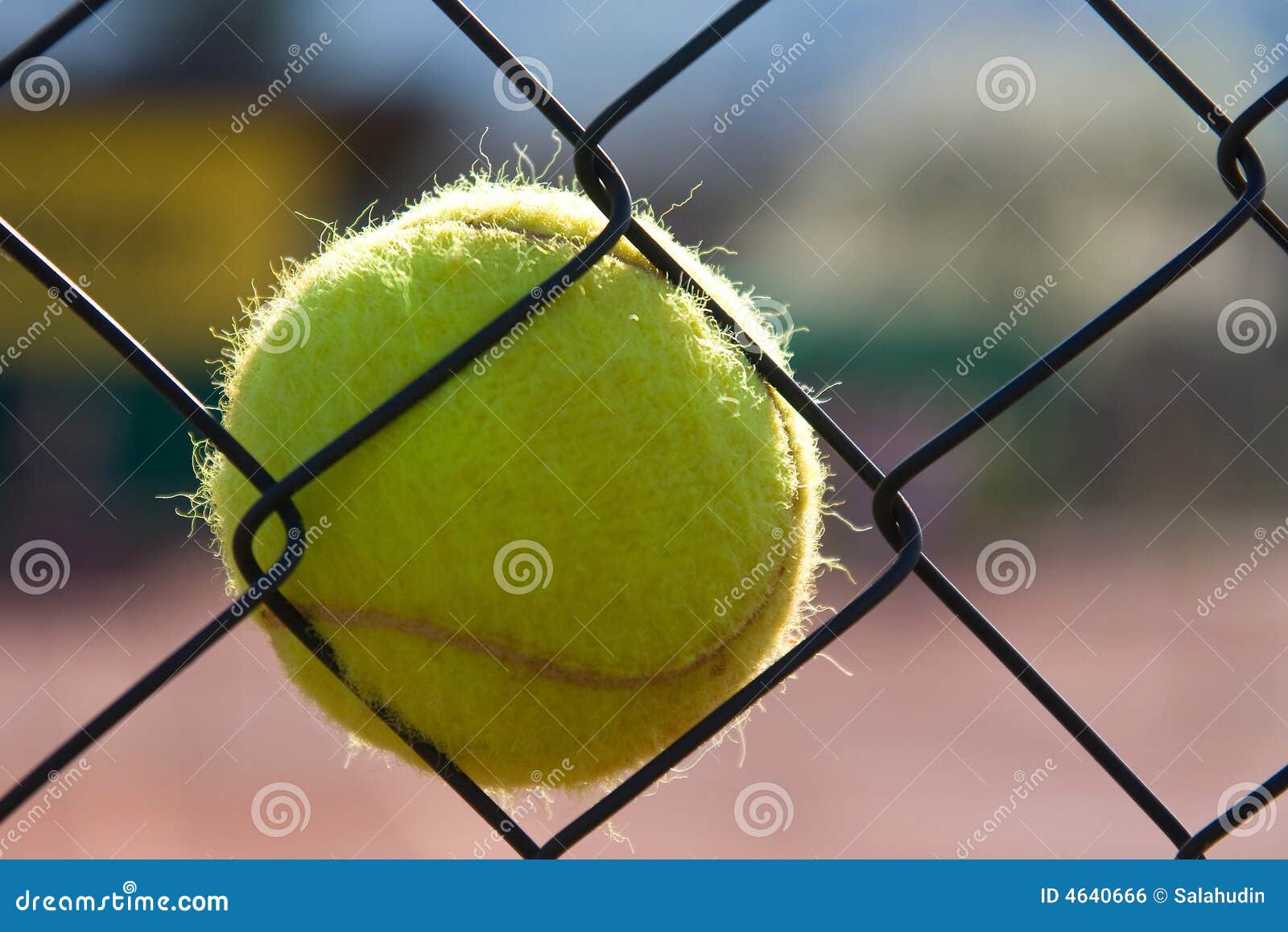 Tennis ball stock photo. Image of lifestyle, outdoor, competition - 4640666