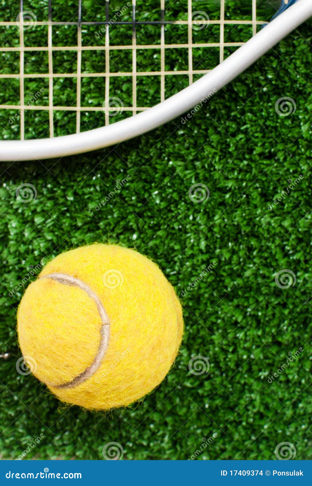 Tennis ball on grass stock photo. Image of sport, grass - 17409374