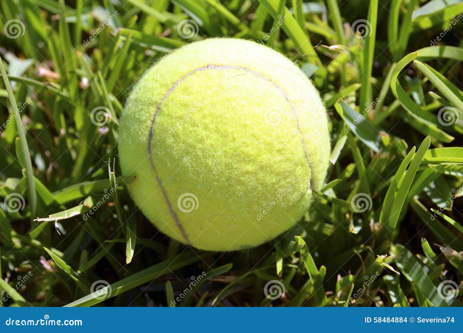 Tennis Ball on Green Grass. Stock Photo - Image of overhead, field ...