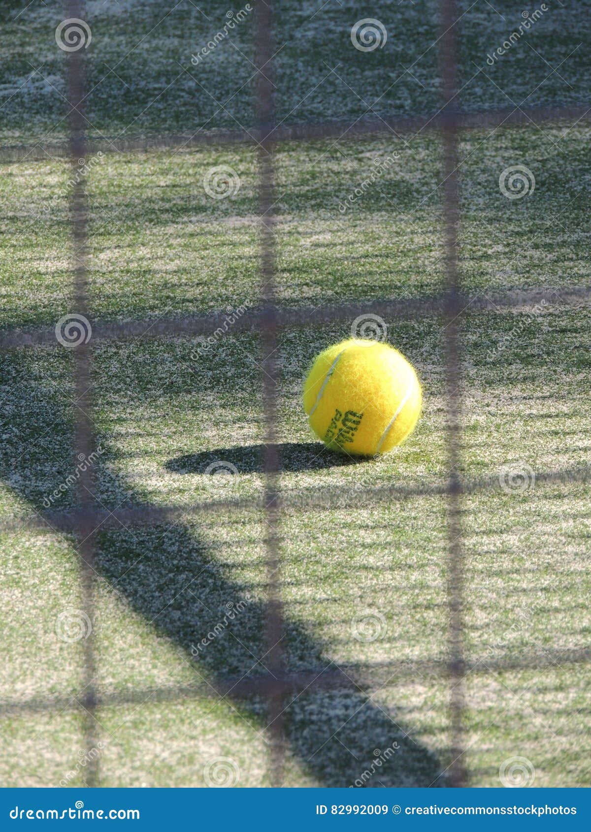 Tennis Ball In Green Grass During Daytime Picture. Image: 82992009