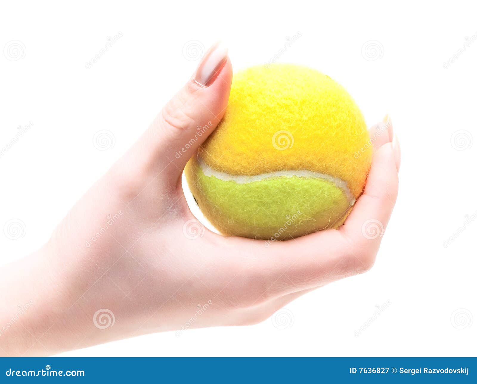 Tennis ball in hand stock image. Image of holding, rubber - 7636827