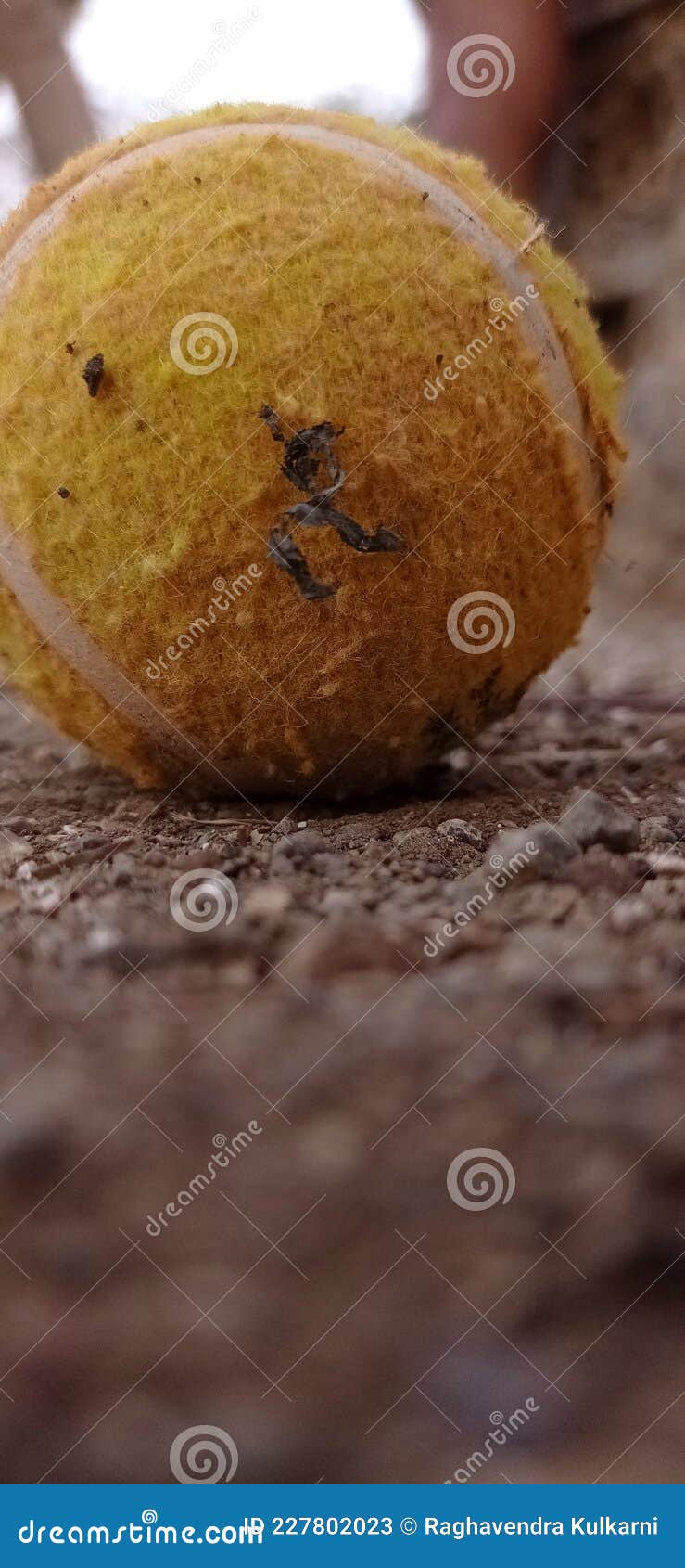 Tennis Ball Image on Ground Stock Image - Image of sports, ground ...