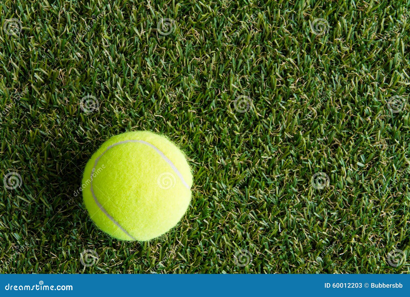 Tennis ball on the lawn stock image. Image of exercise - 60012203