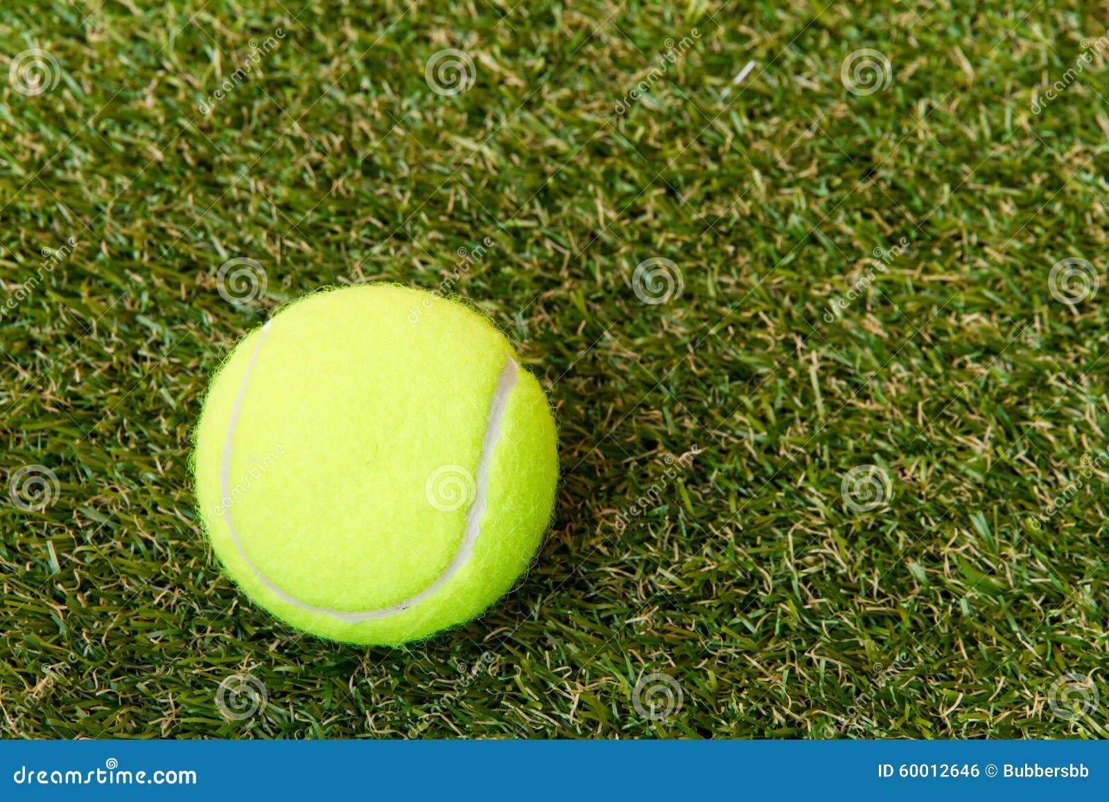 Tennis ball on the lawn stock photo. Image of ball, grass - 60012646