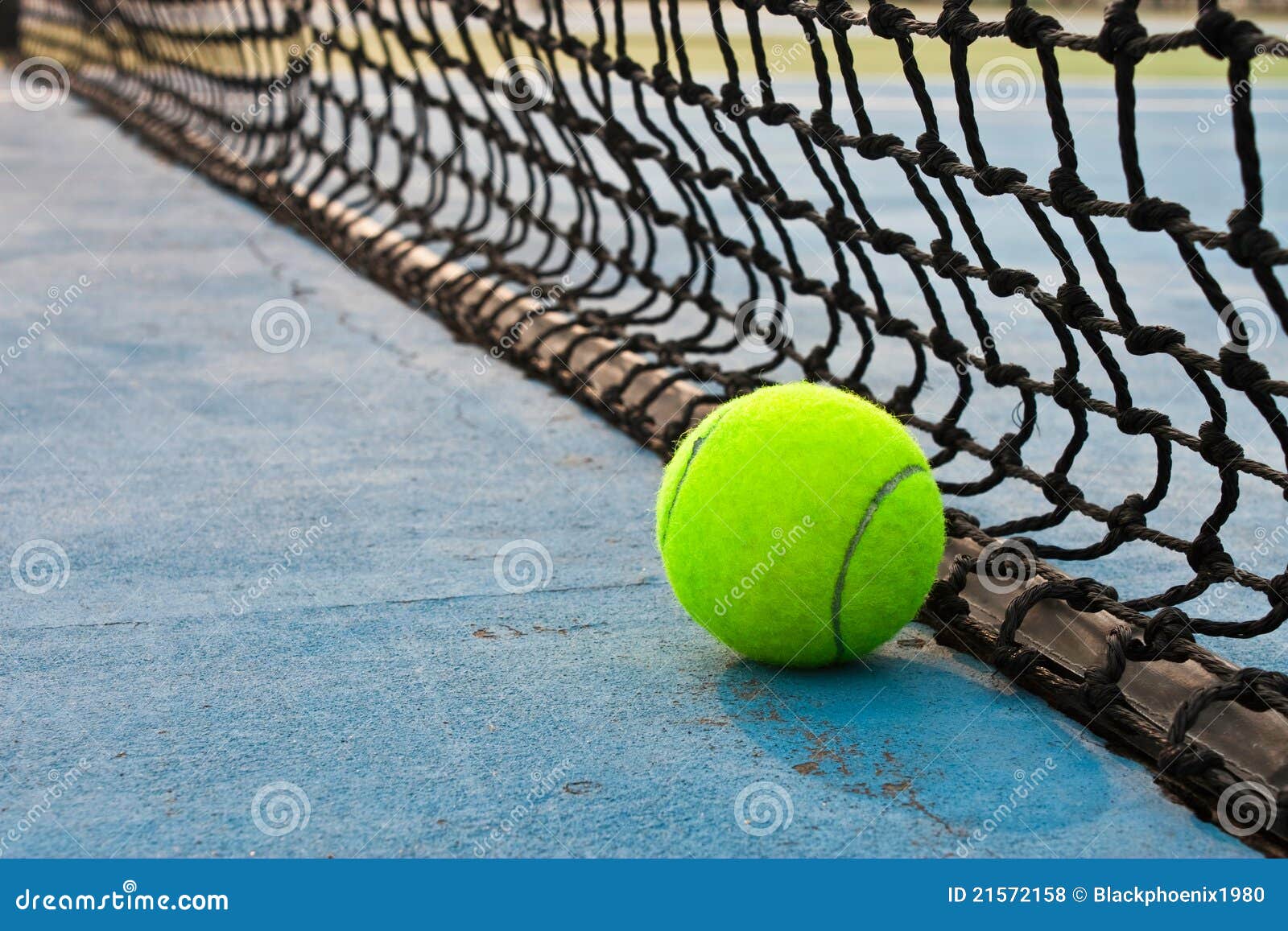 Tennis ball and net stock photo. Image of game, exercise - 21572158