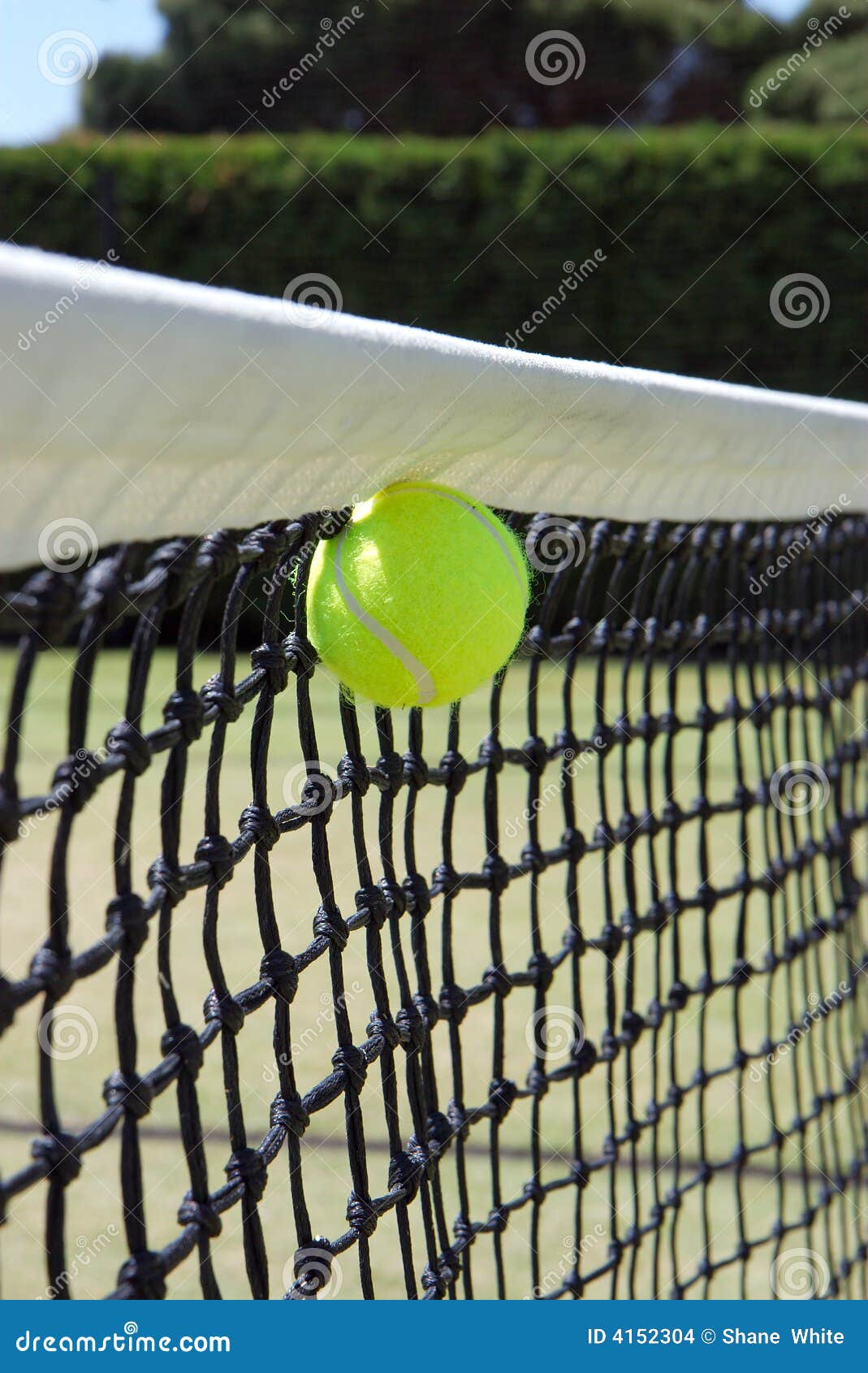 Tennis ball in net. stock photo. Image of court, outside - 4152304