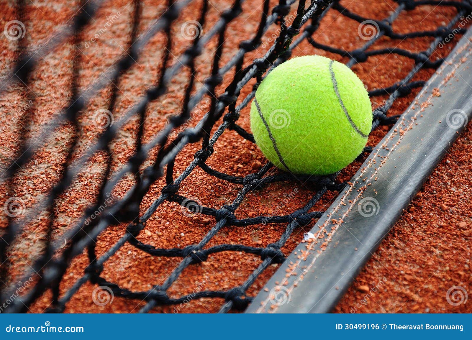 Tennis ball on net stock photo. Image of game, accessory - 30499196