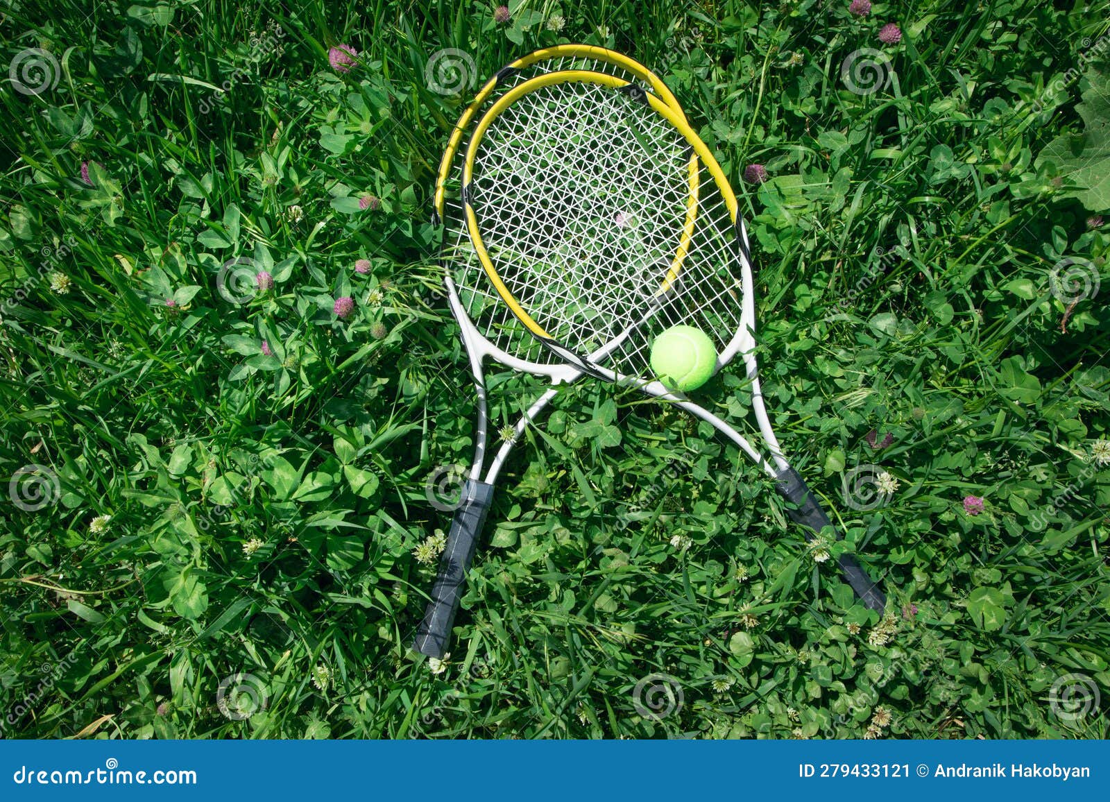 Tennis Ball and Racket on the Green Grass Background Stock Image ...