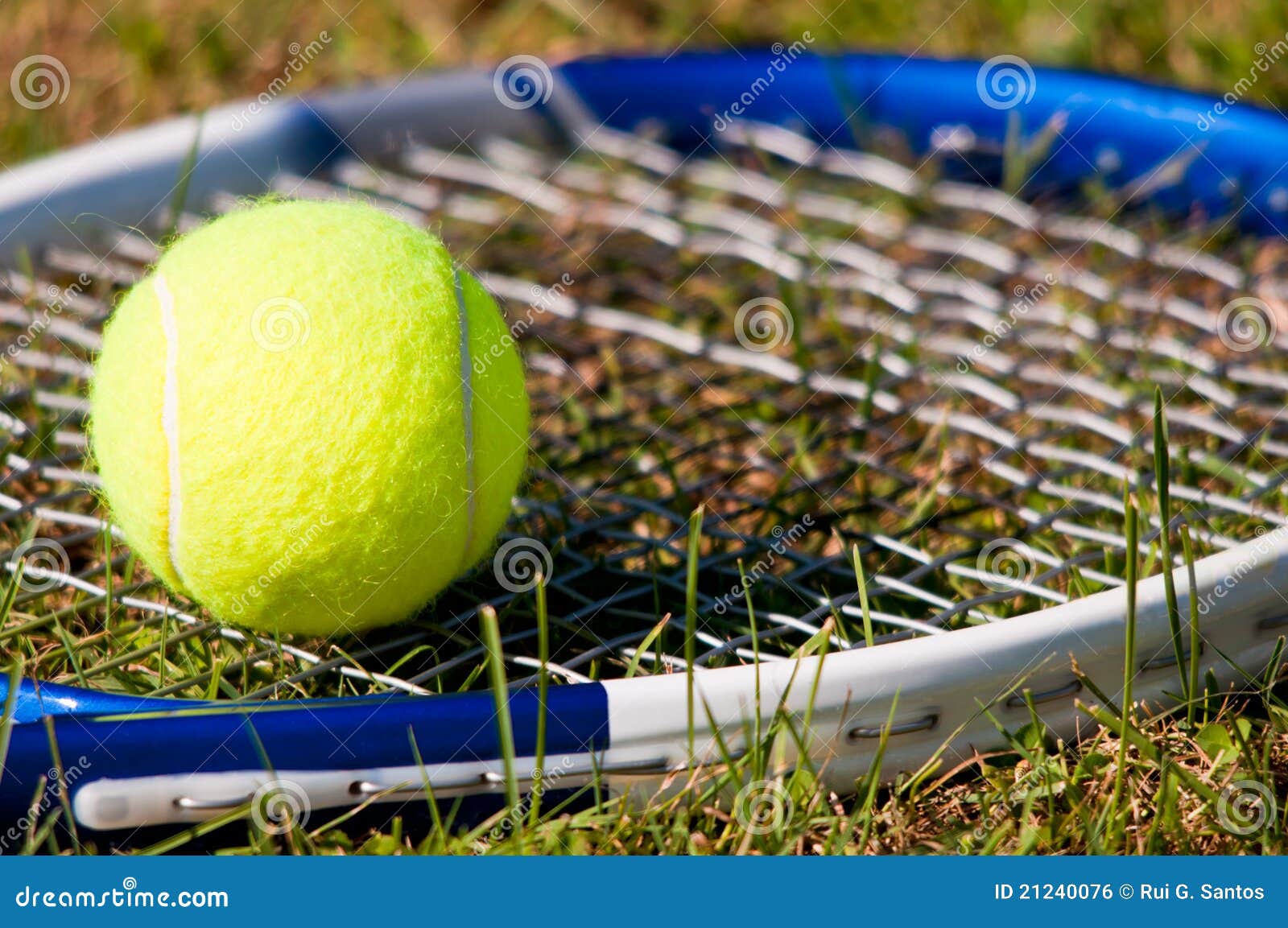 Tennis Ball and Racquet stock photo. Image of relaxation - 21240076