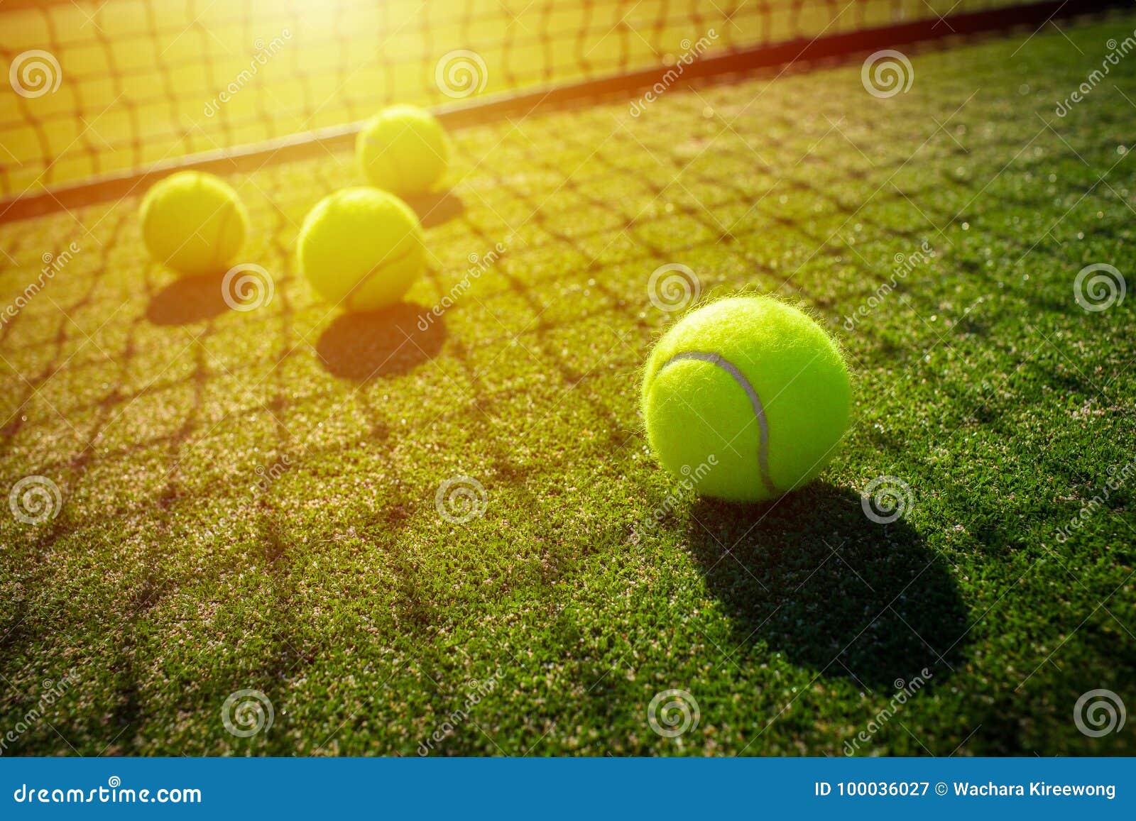 Tennis Balls on Grass Court with Sunlight Stock Image - Image of floor ...