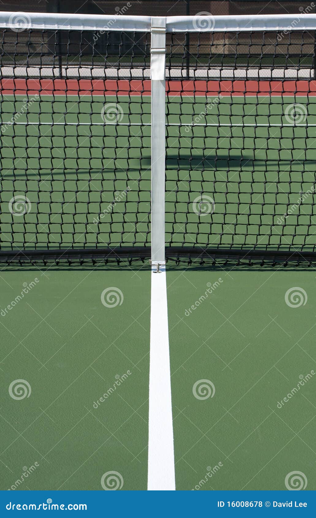 Tennis Court and Net stock photo. Image of line, green - 16008678