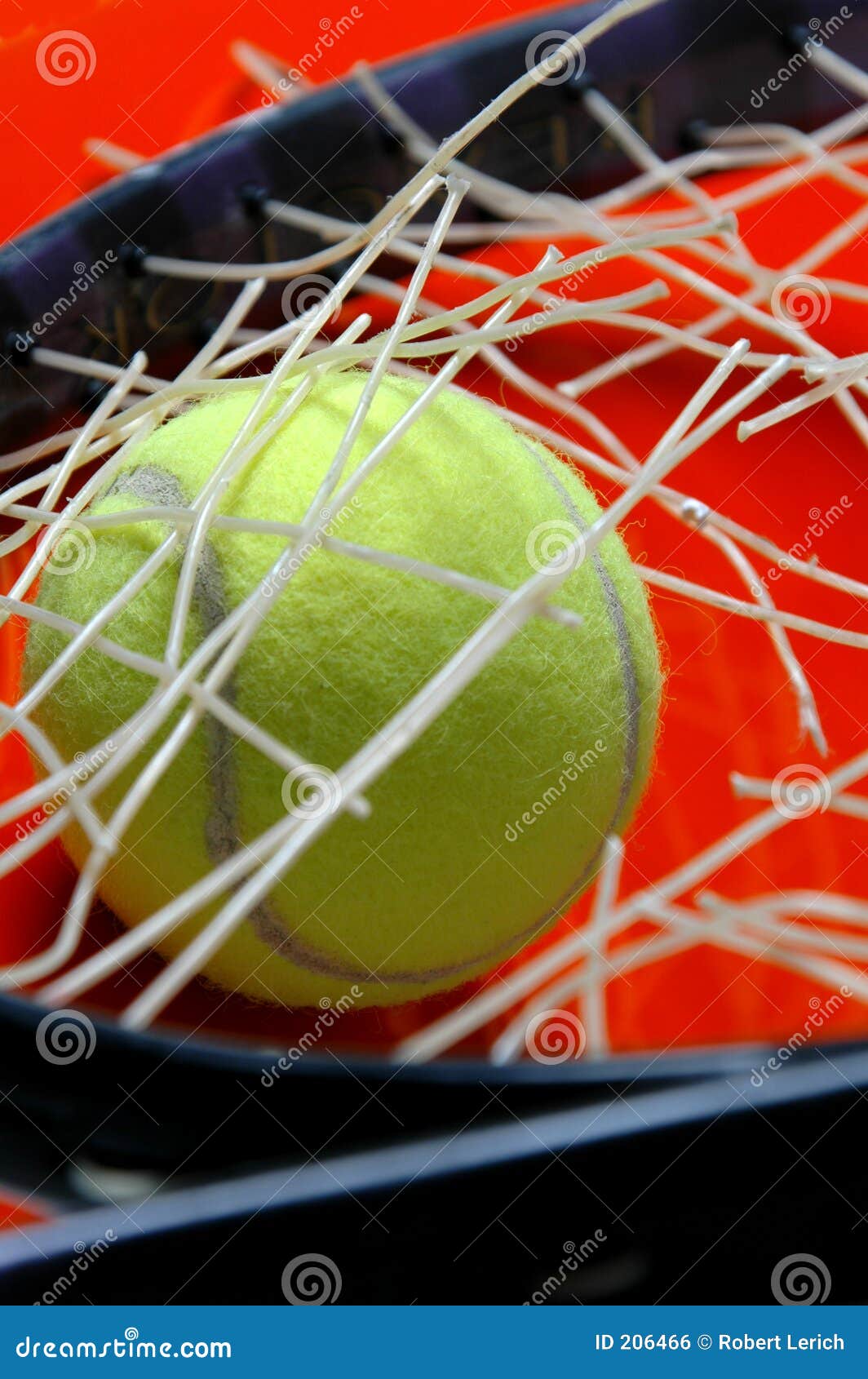 Tennis restring stock photo. Image of sports, summer, outdoors - 206466
