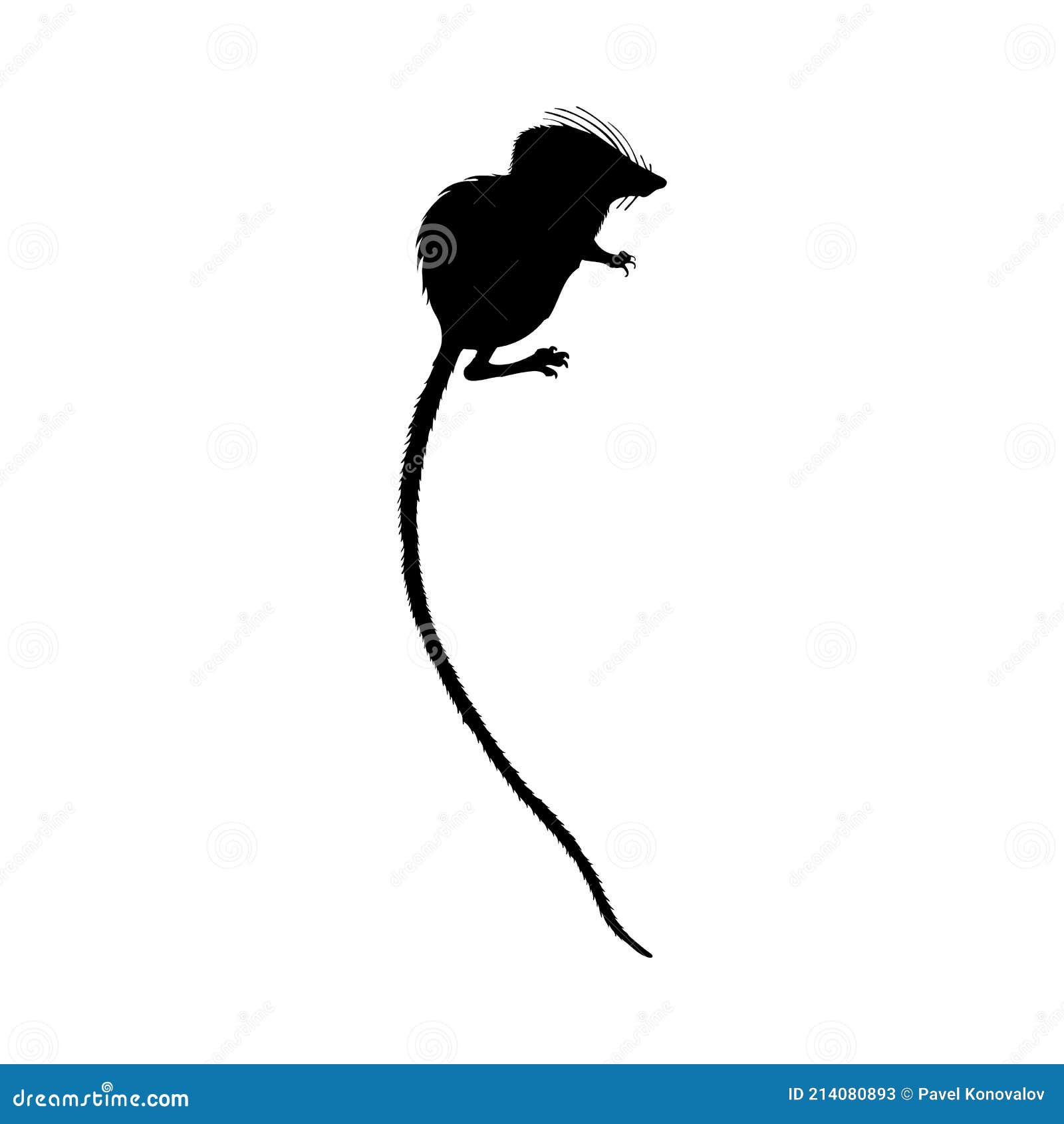 Tenrec Cartoons, Illustrations & Vector Stock Images - 19 Pictures to ...