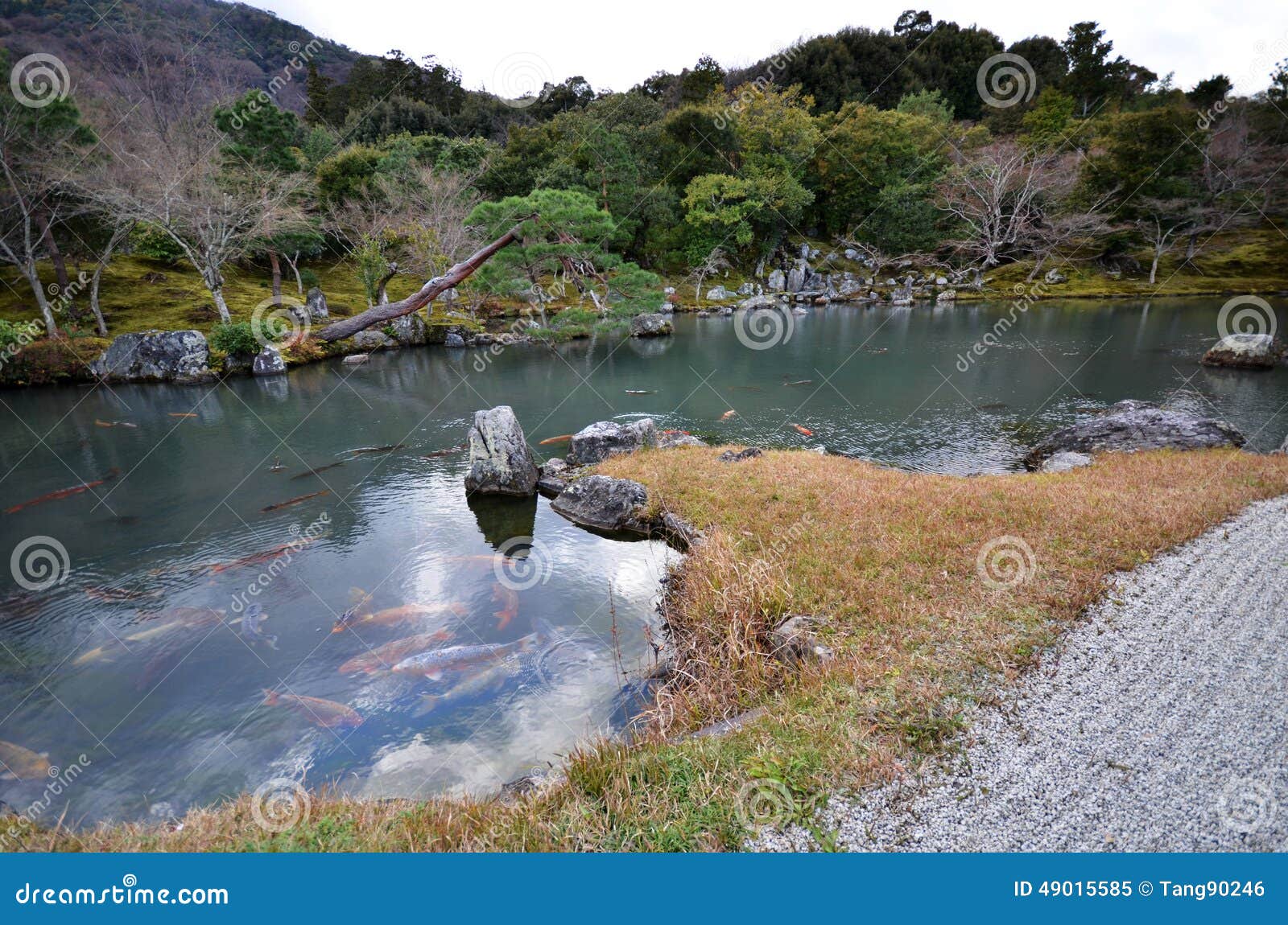 Tenryu-ji in Kyoto, Japan stock image. Image of view - 49015585