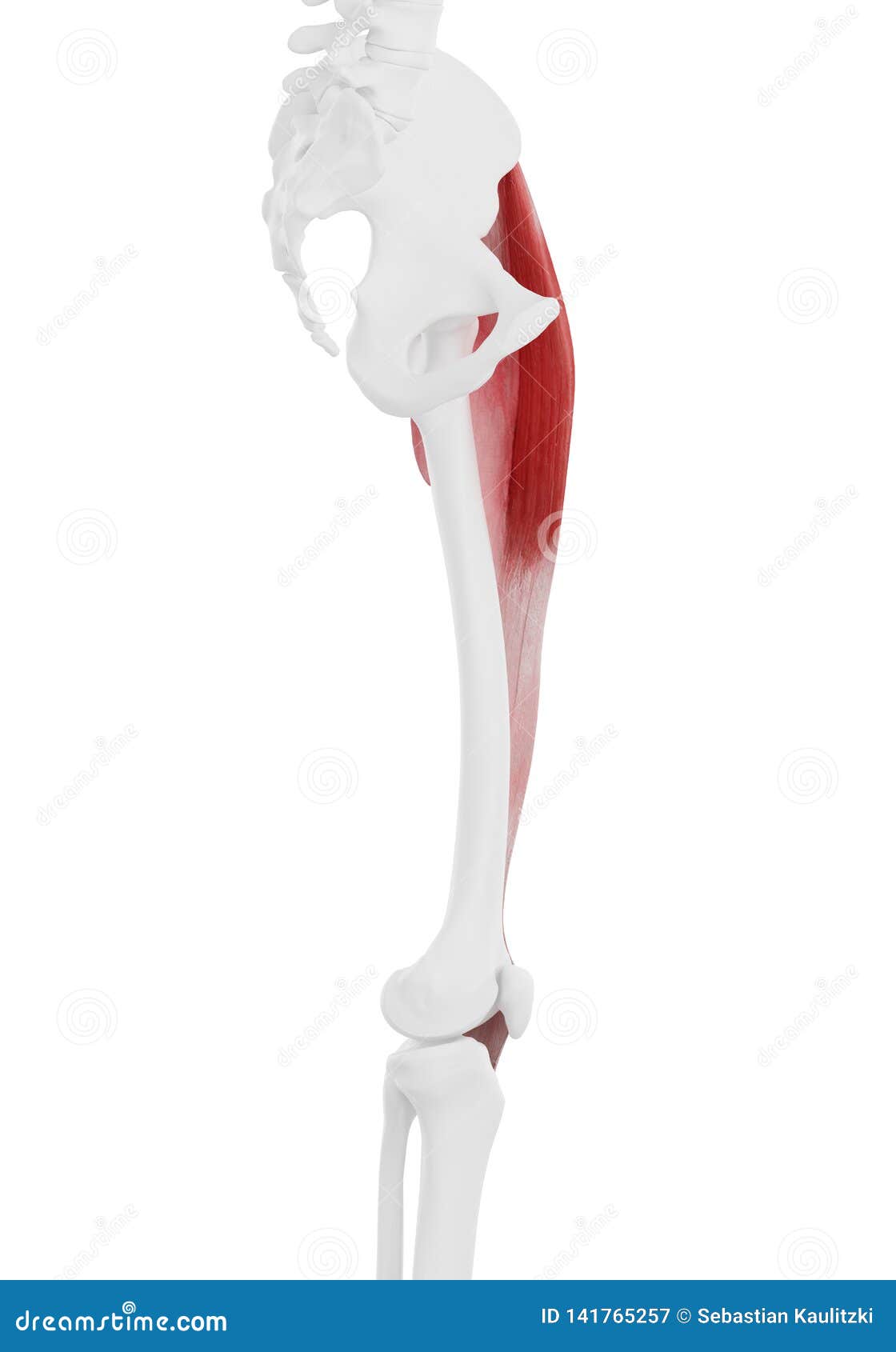 Fascia Cartoons, Illustrations & Vector Stock Images - 1998 Pictures to ...