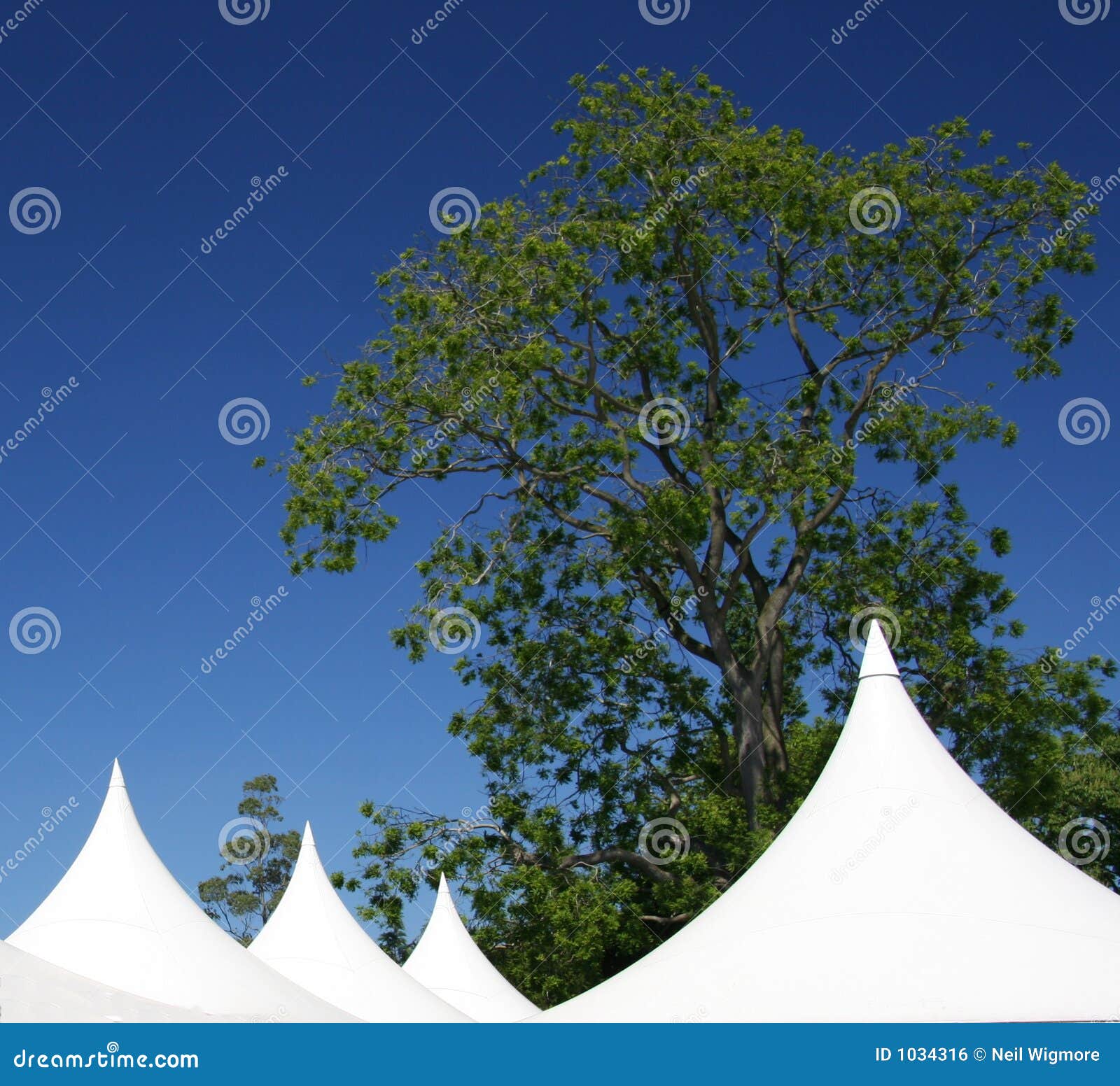 534 Tented Roof Stock Photos - Free & Royalty-Free Stock Photos from ...