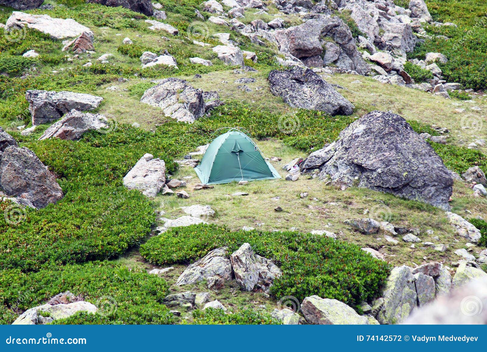 Tent at alpine meadow stock photo. Image of green, morning - 74142572
