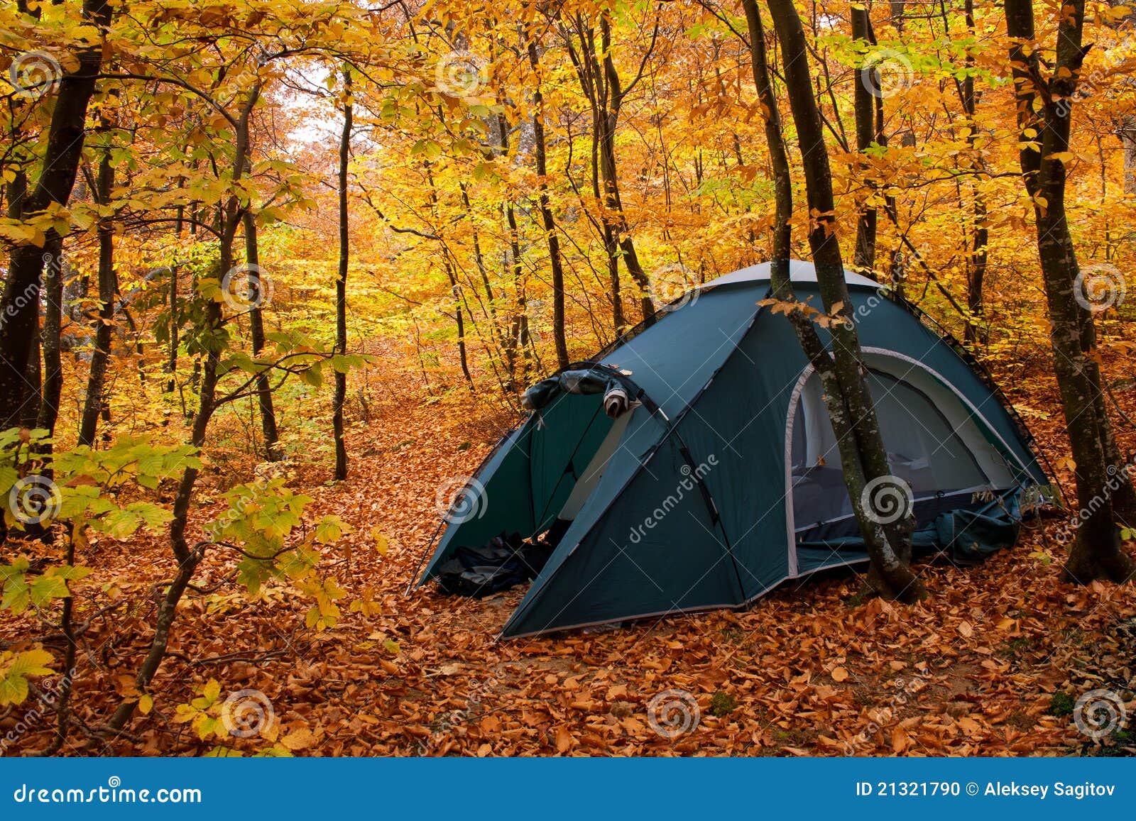 Tent in the autumn forest stock photo. Image of picnic - 21321790