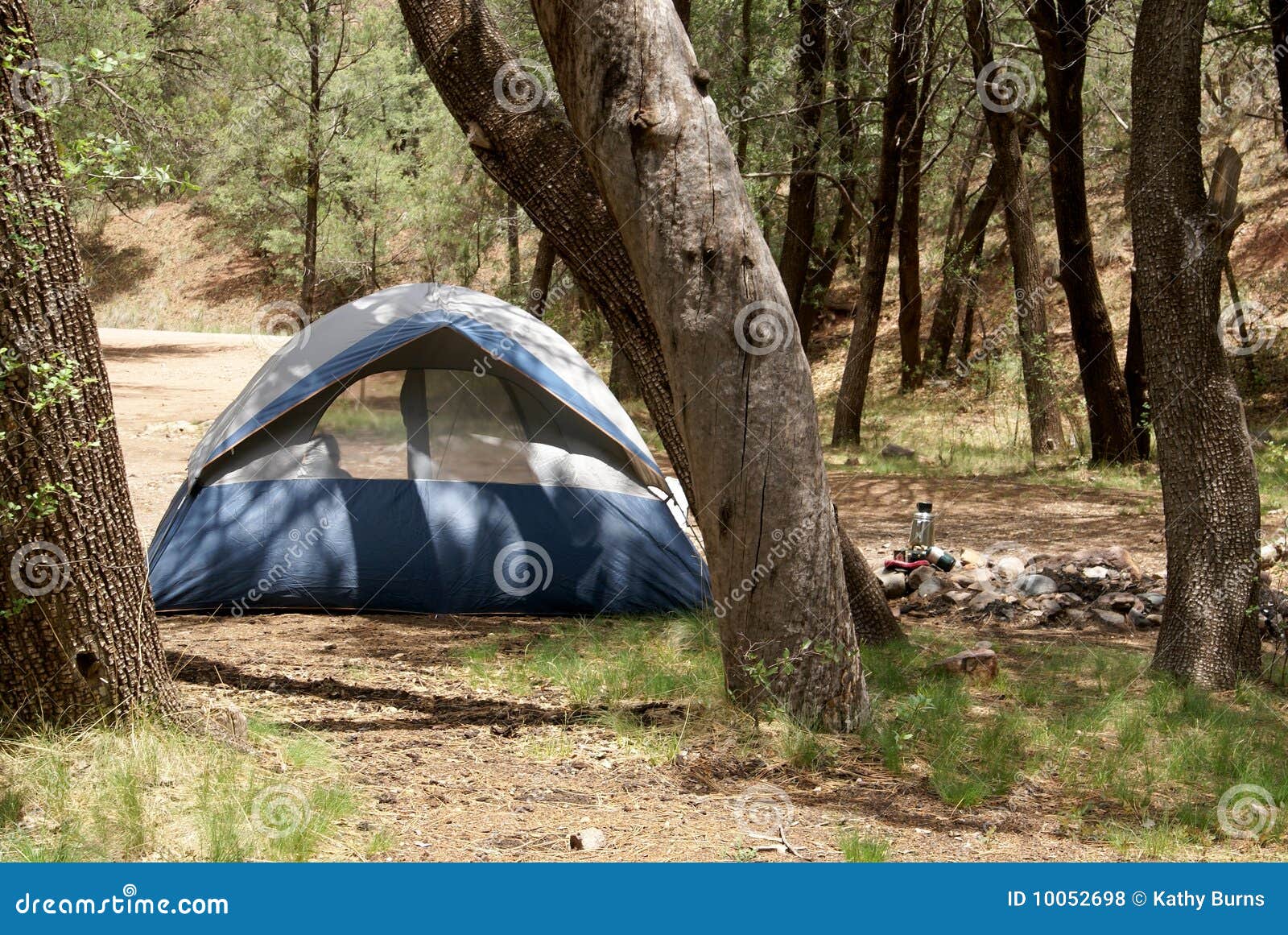 Tent Camping stock photo. Image of nature, campsite, outdoors - 10052698