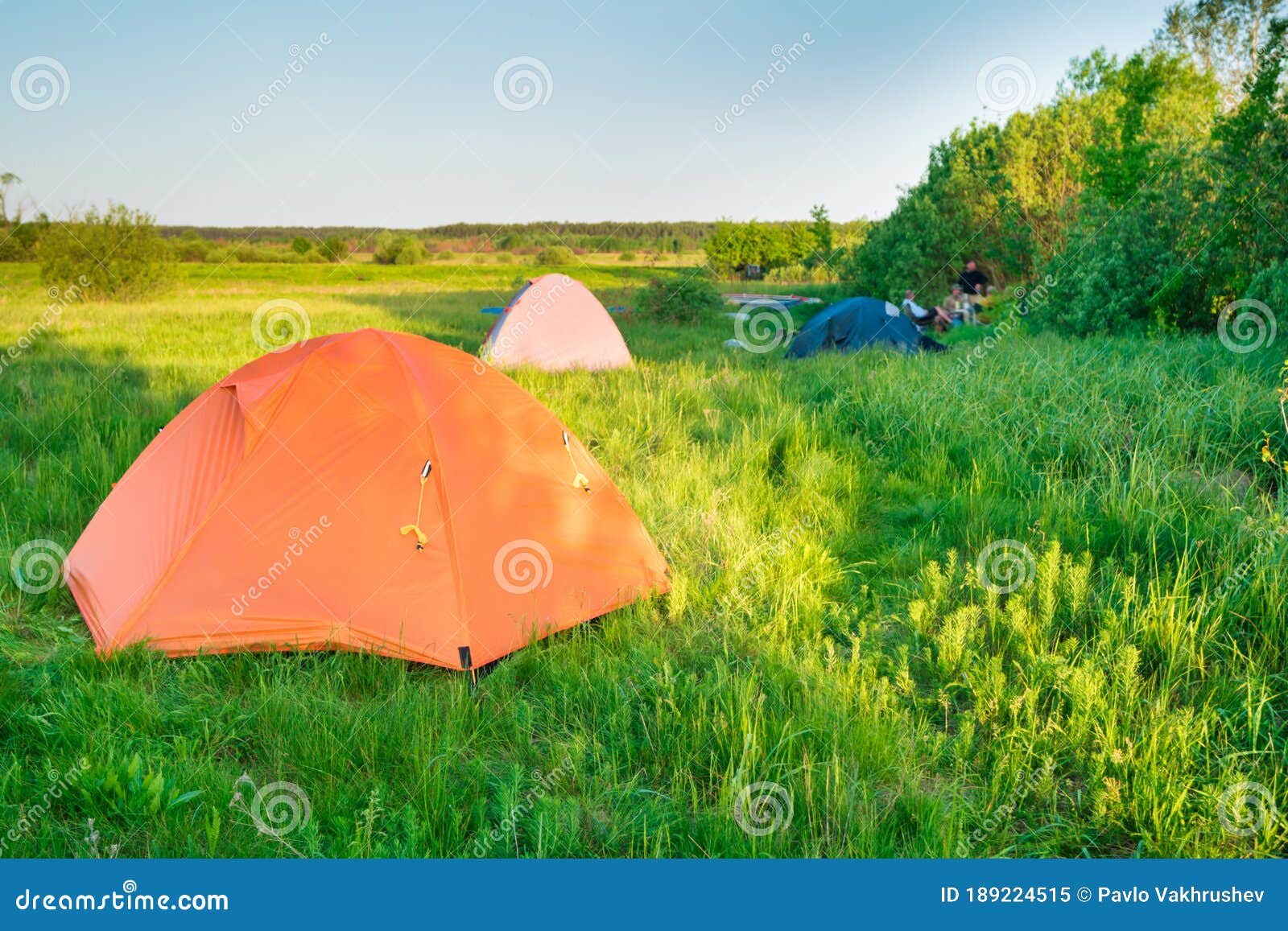Tent Camping on Green Grass Field Stock Image - Image of outdoor ...