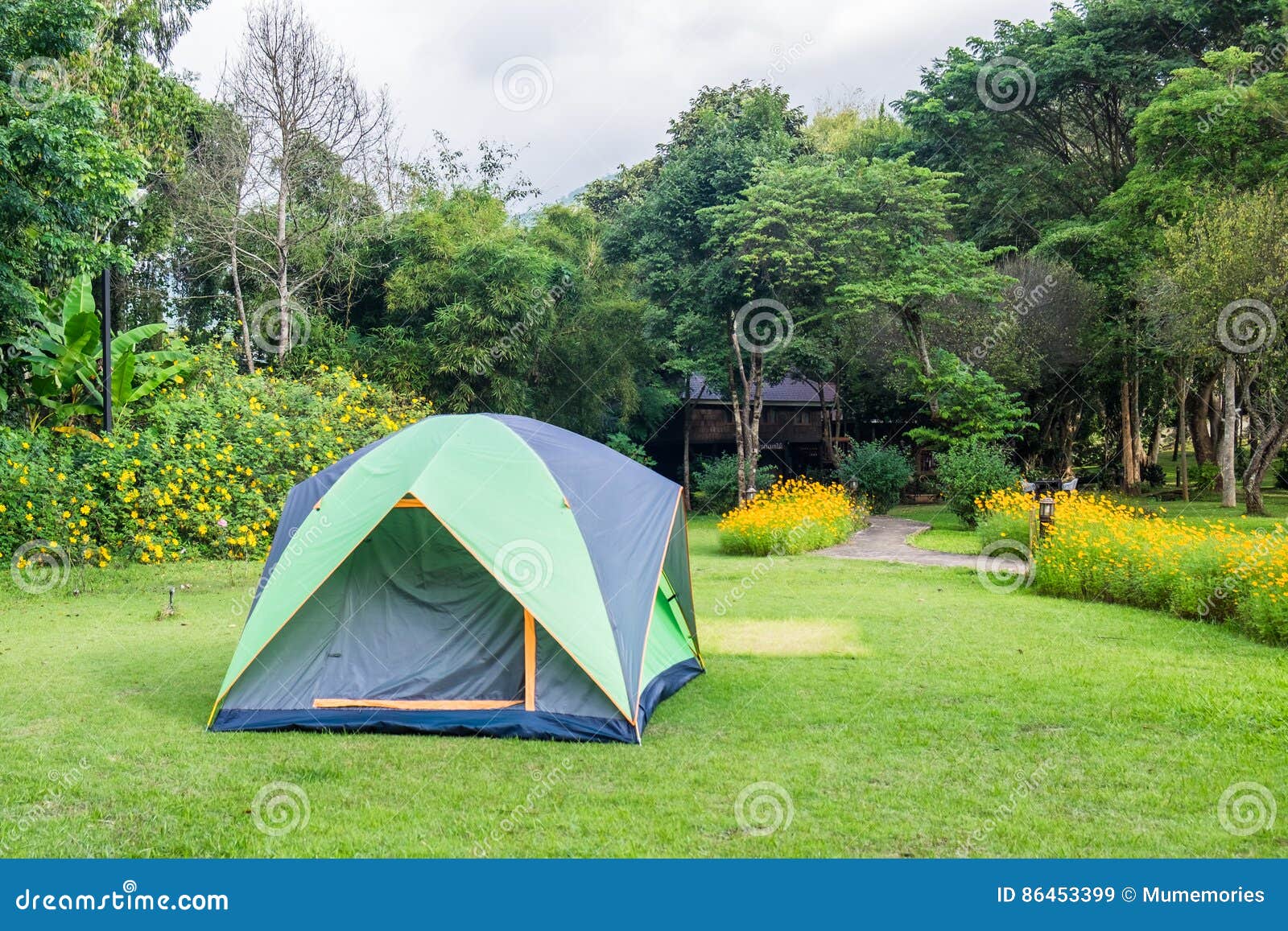Tent Camping Relaxing on Lawn Backyard Stock Image - Image of garden ...