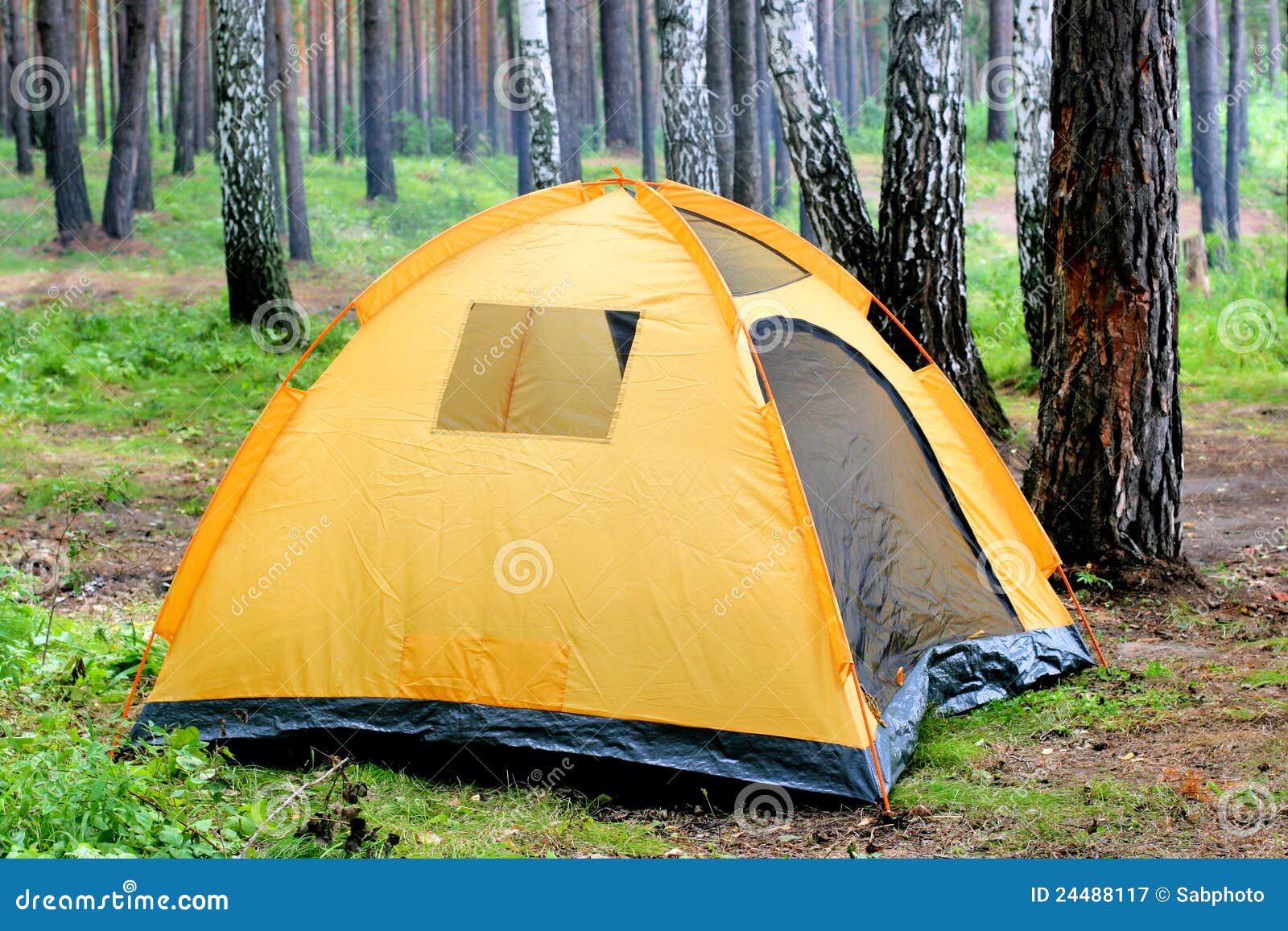Tent in forest stock image. Image of tourism, branch - 24488117