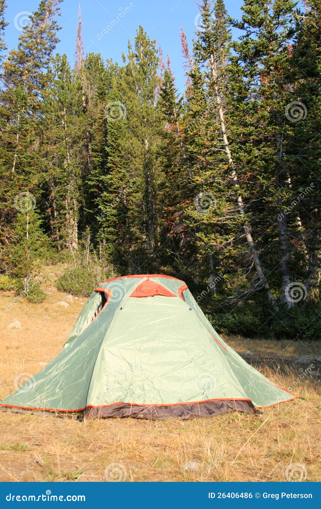Tent in the forest stock photo. Image of recreation, active - 26406486