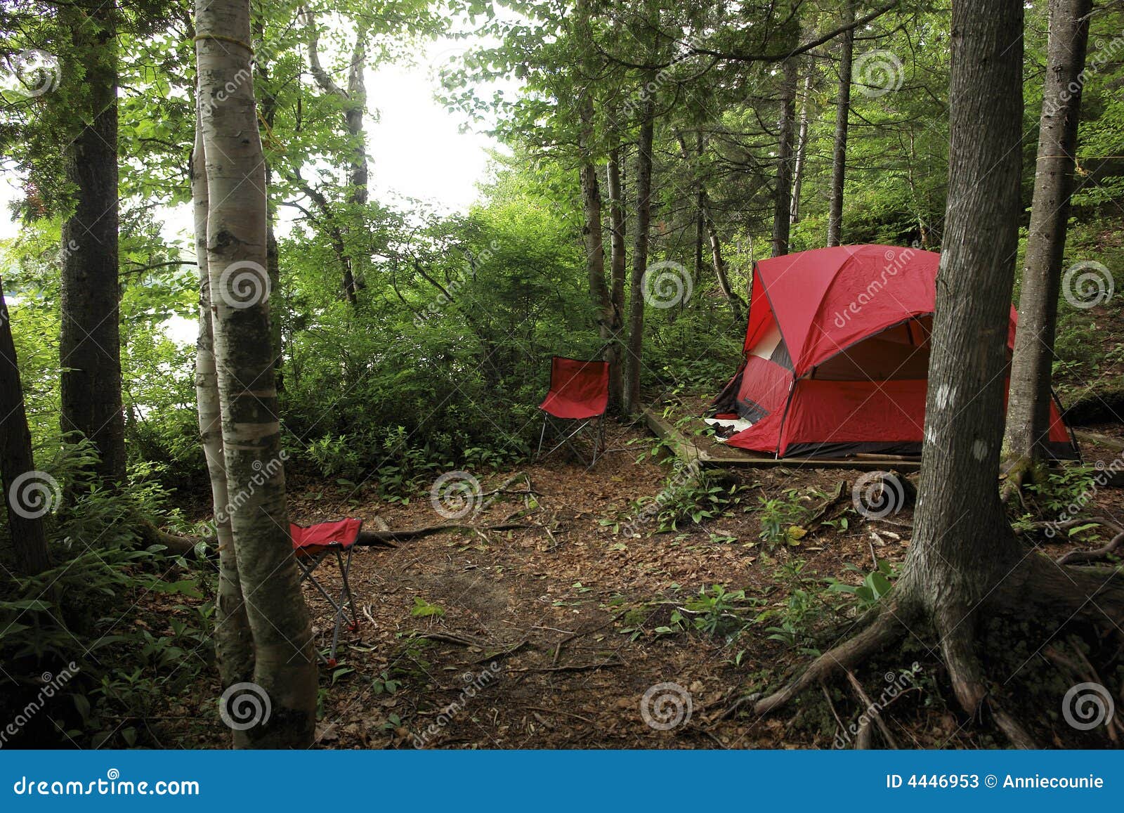Tent in forest stock image. Image of stand, tent, trek - 4446953