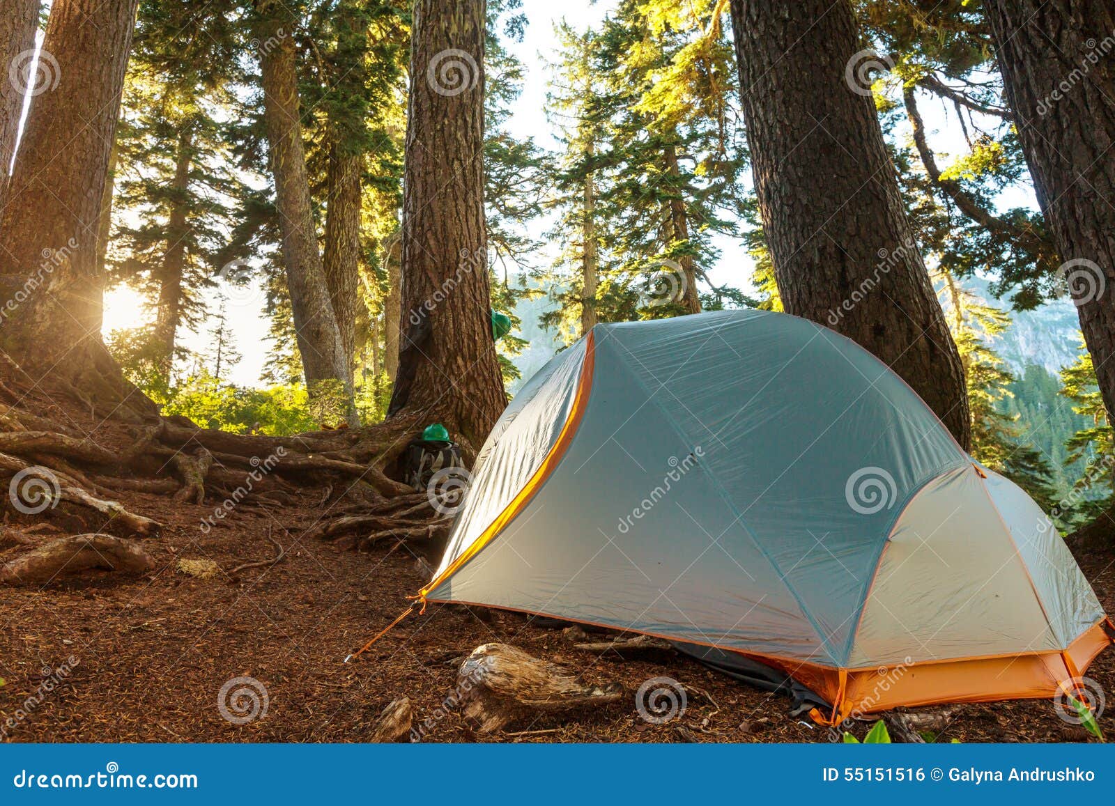 Tent in the forest stock photo. Image of outdoor, park - 55151516