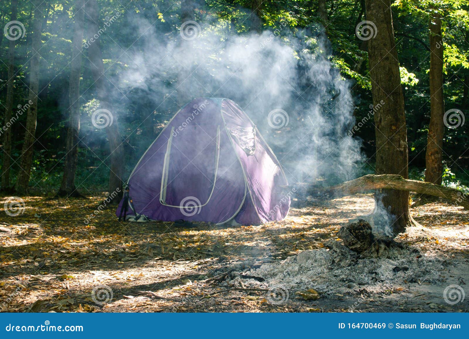 Tent in the Forest, Good Rest in the Forest Stock Image - Image of ...