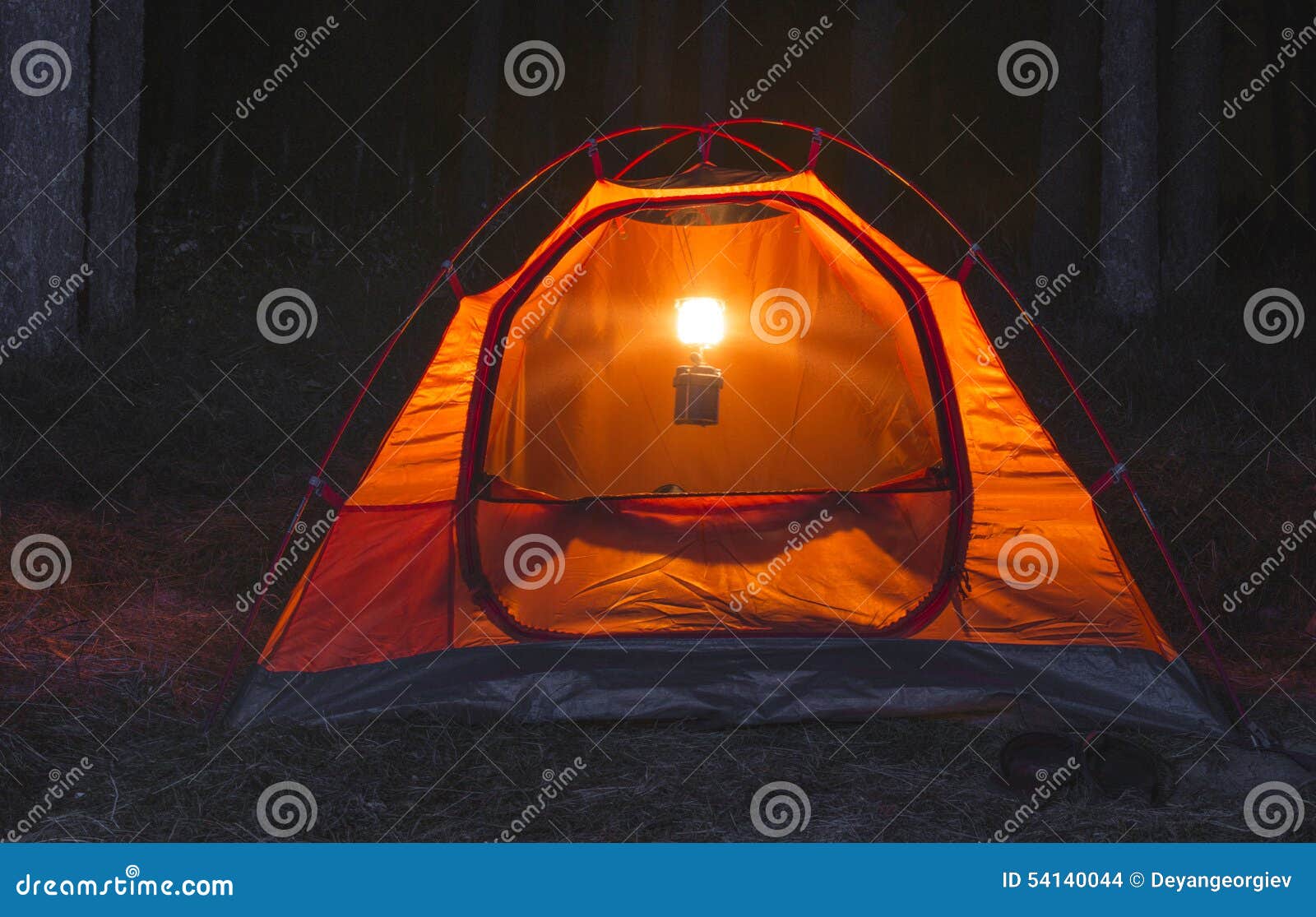 Tent in the Forest at Night Stock Photo - Image of summer, forest: 54140044