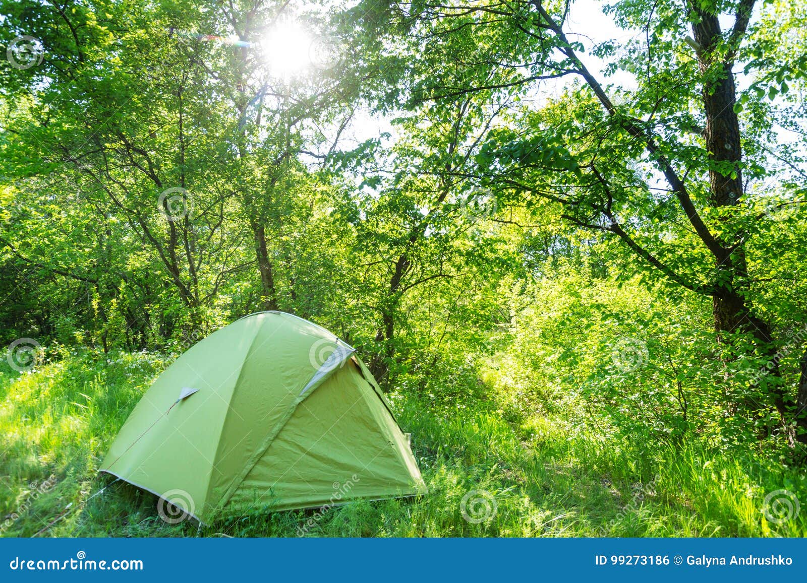 Tent in the forest stock photo. Image of forest, trekking - 99273186