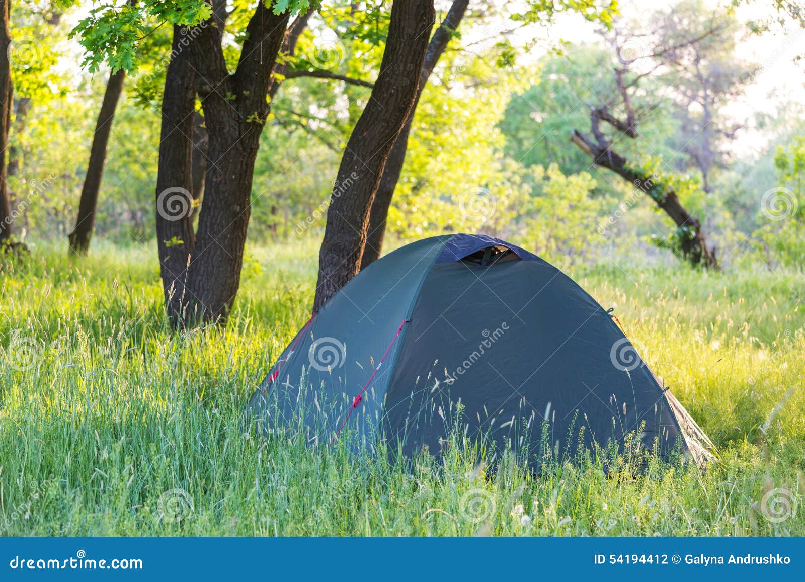 Tent on grassland stock photo. Image of camping, camp - 54194412