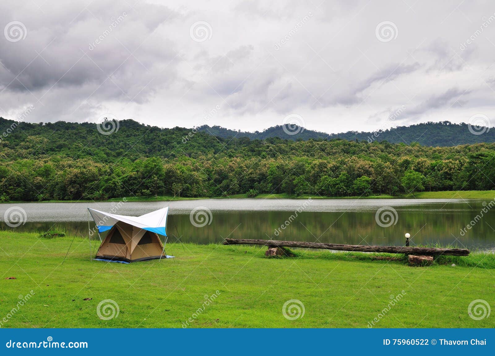 A Tent on Green Grass beside a Lake Stock Photo - Image of serenely ...