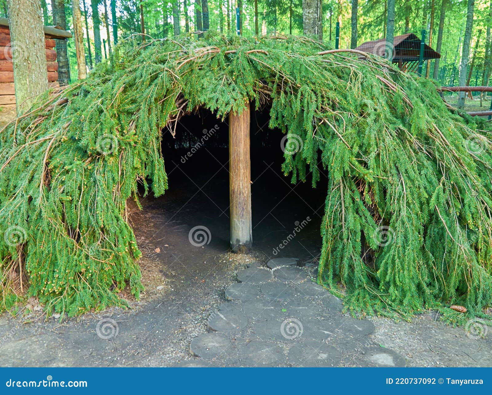 A Tent Made of Spruce Branches in Close-up. Stock Photo - Image of ...