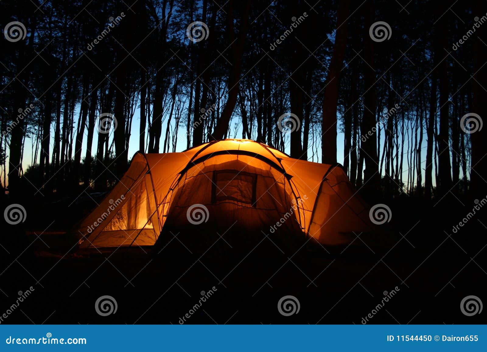Tent at night in a forest stock photo. Image of night - 11544450