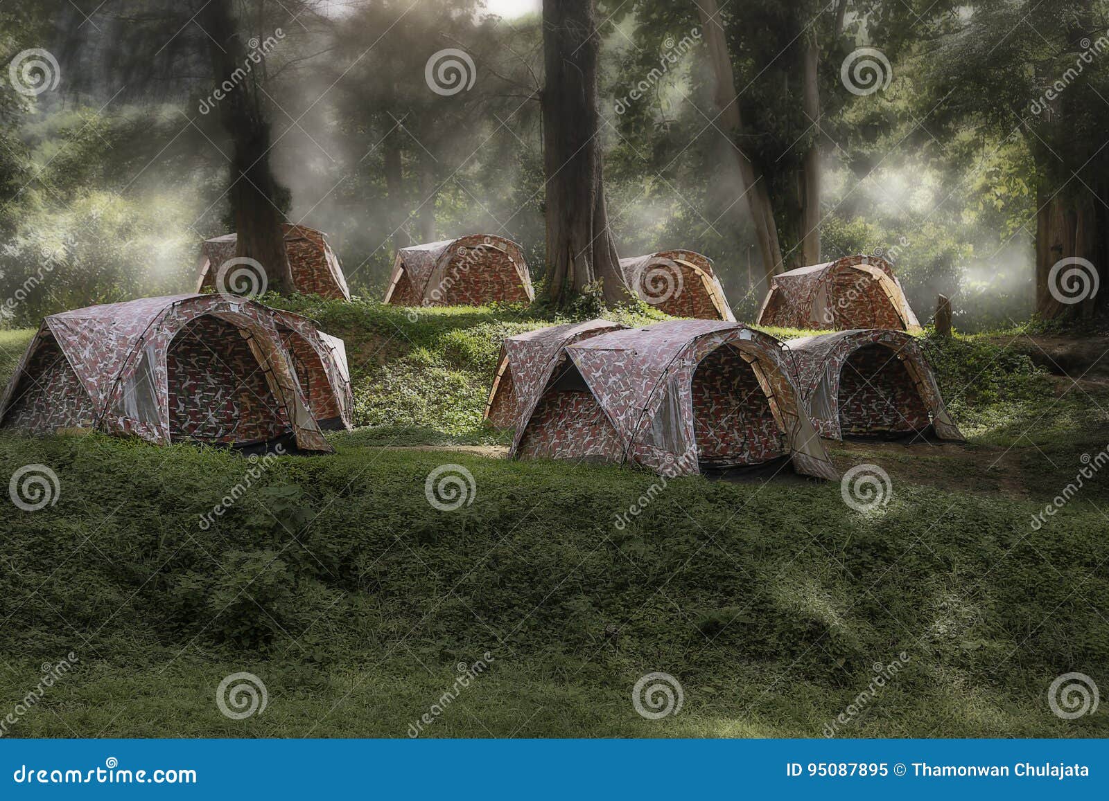 Tent Sleeping in the Forest at Dawn. Stock Image - Image of fall ...