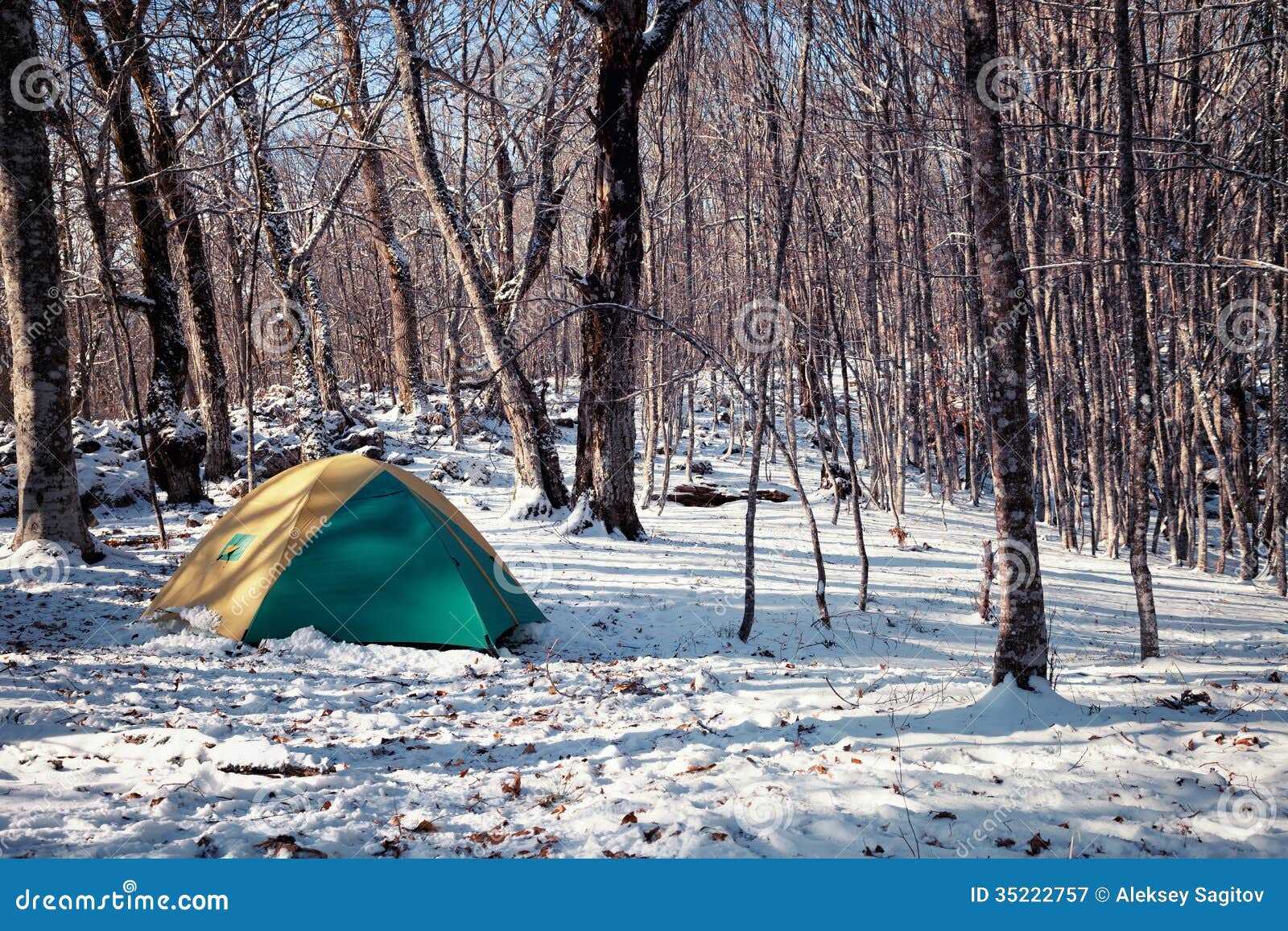 Tent in a snowy forest stock image. Image of tree, landscape - 35222757