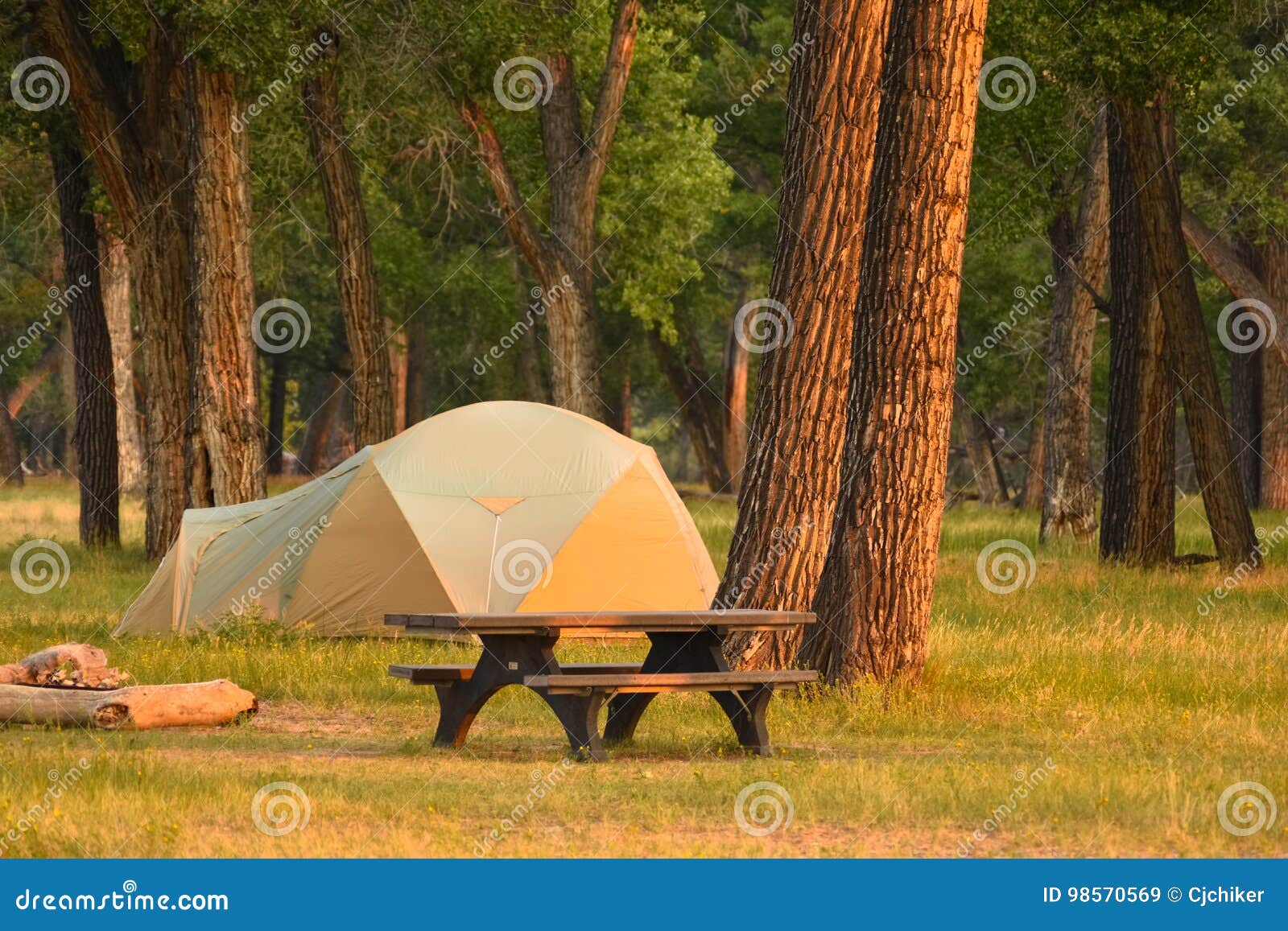 Tent in Trees in Summer Morning Light Stock Image - Image of calm ...
