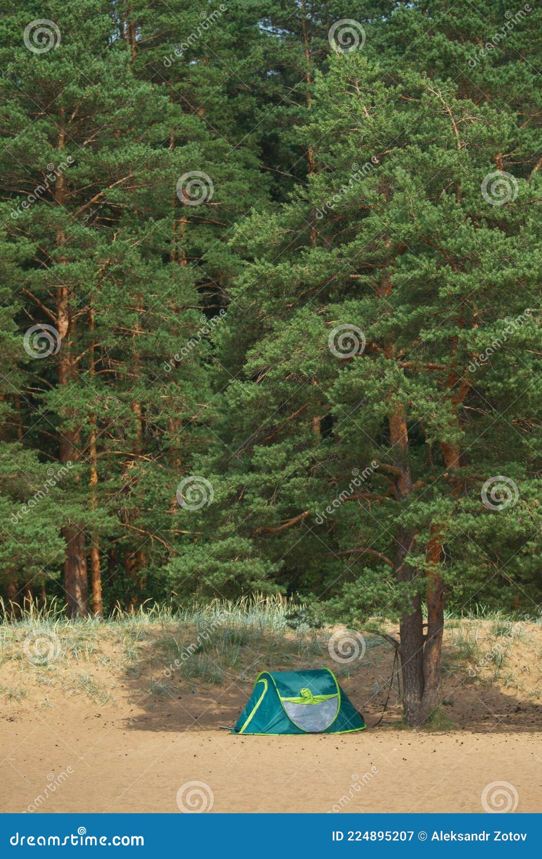 Tent Under a Tree on a Sandy Beach Stock Image - Image of camping ...