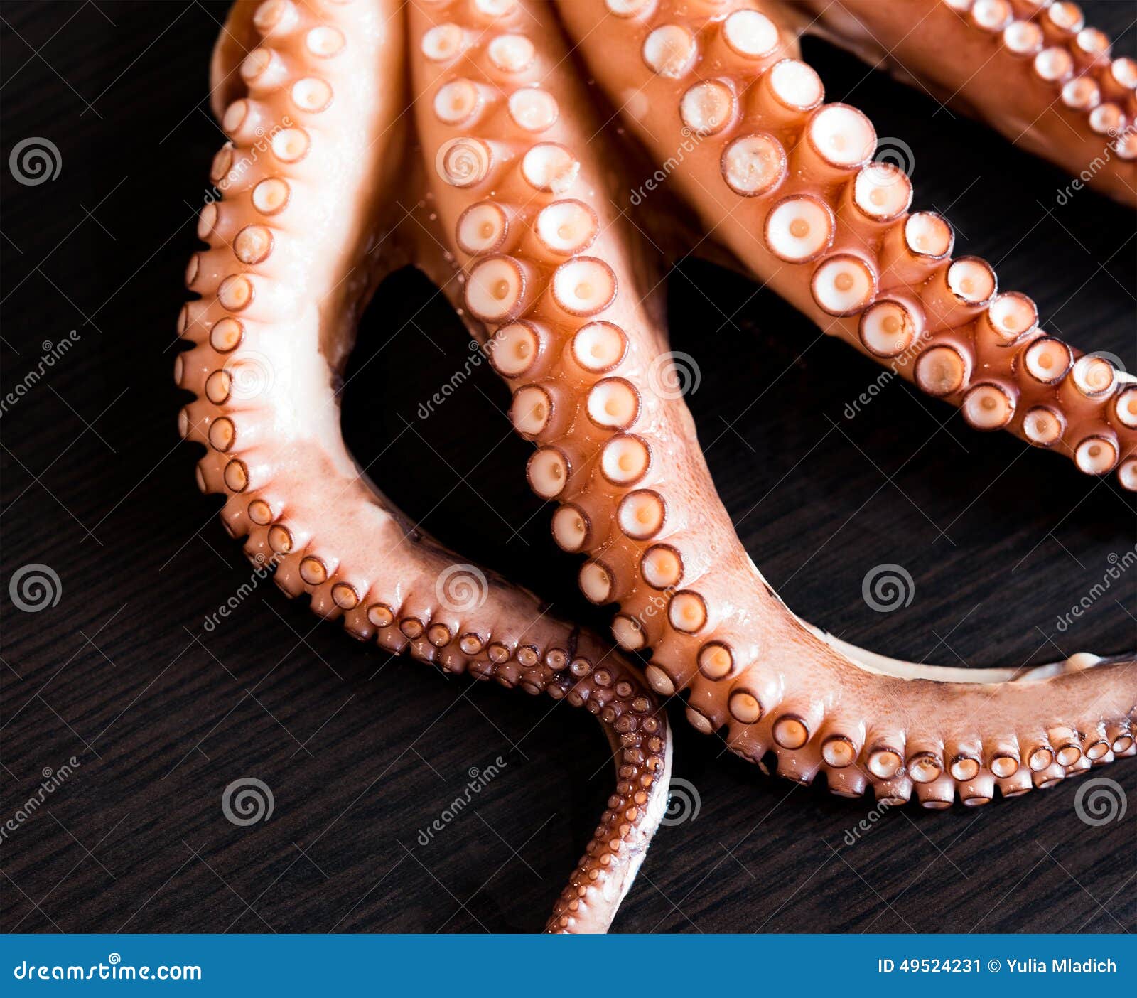 Tentakeln der Krake stockbild. Bild von sauger, kalmar - 49524231