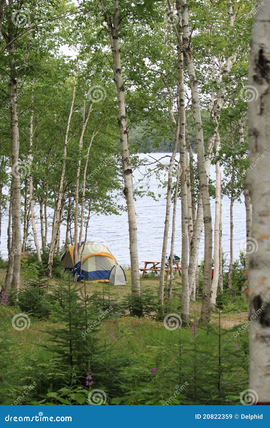 Tenting door meer stock afbeelding. Image of kamperen - 20822359