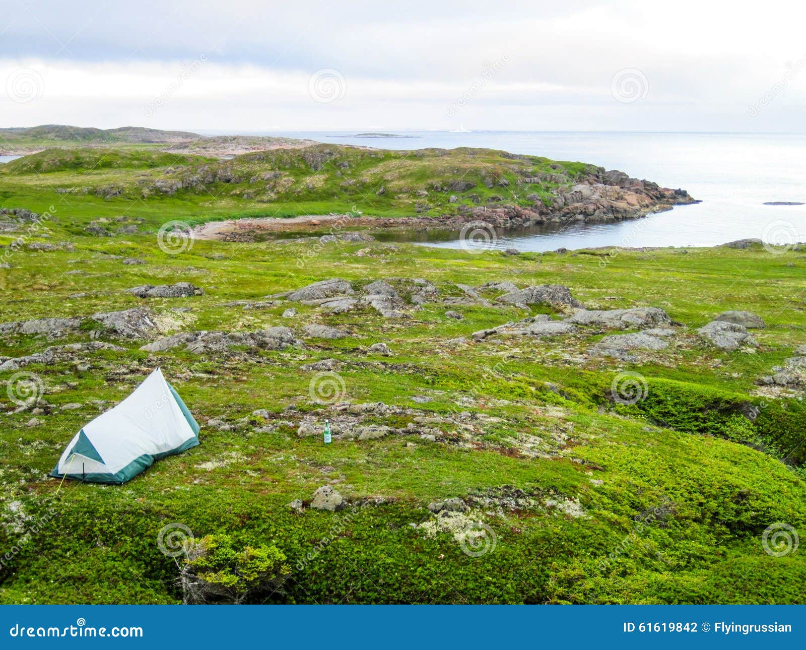 Tenting in Labrador, Atlantic Canada Stock Photo - Image of explore ...